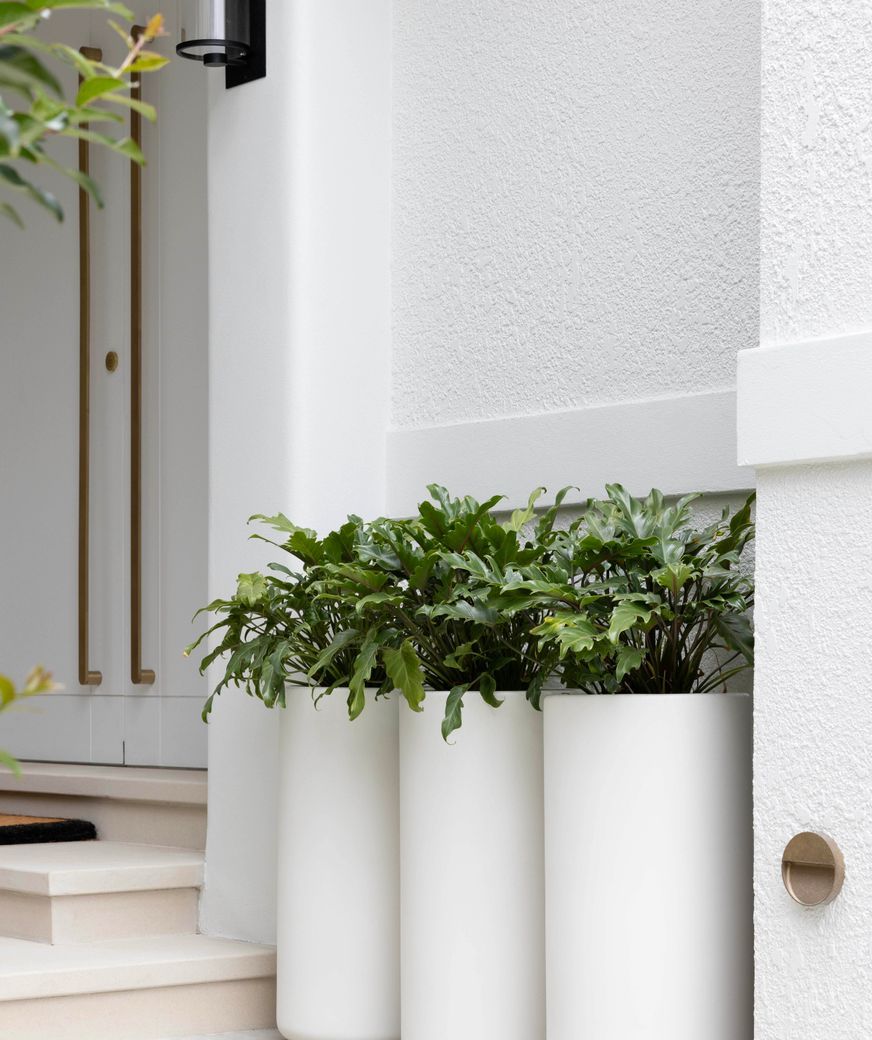 Elevate your garden: choosing the perfect outdoor pots for every space