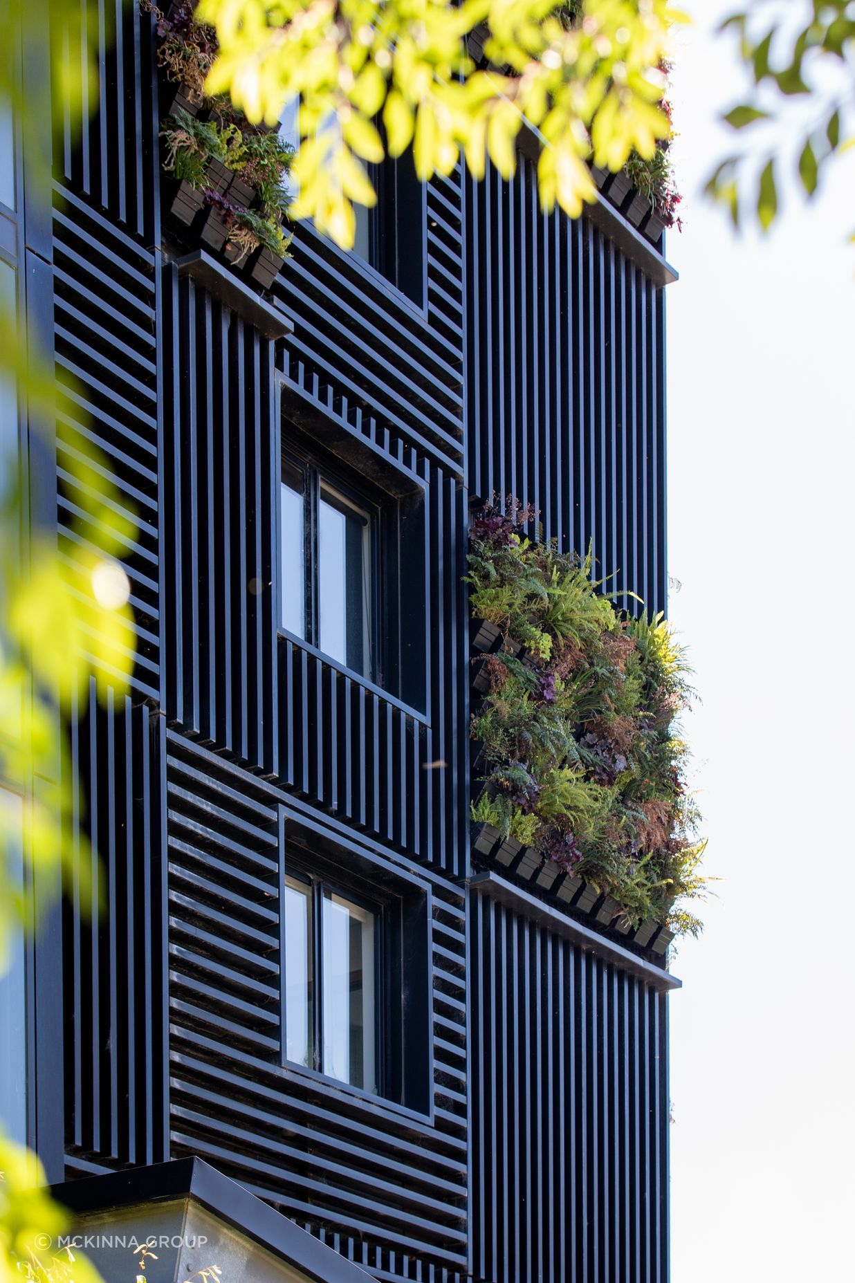 What are the benefits of window shrouds