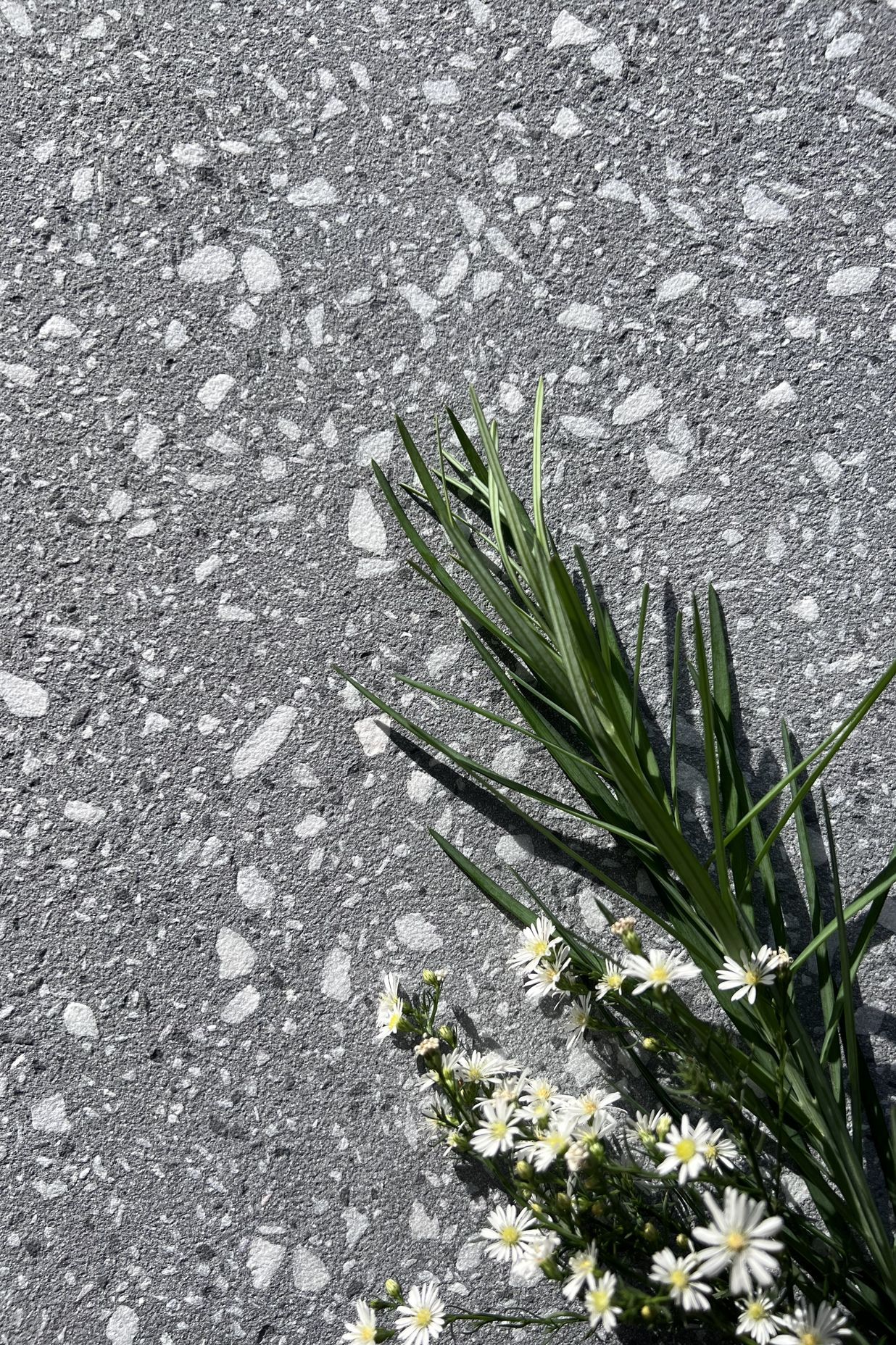 Rock-solid: Get to know Australia’s leading inorganic stone manufacturer