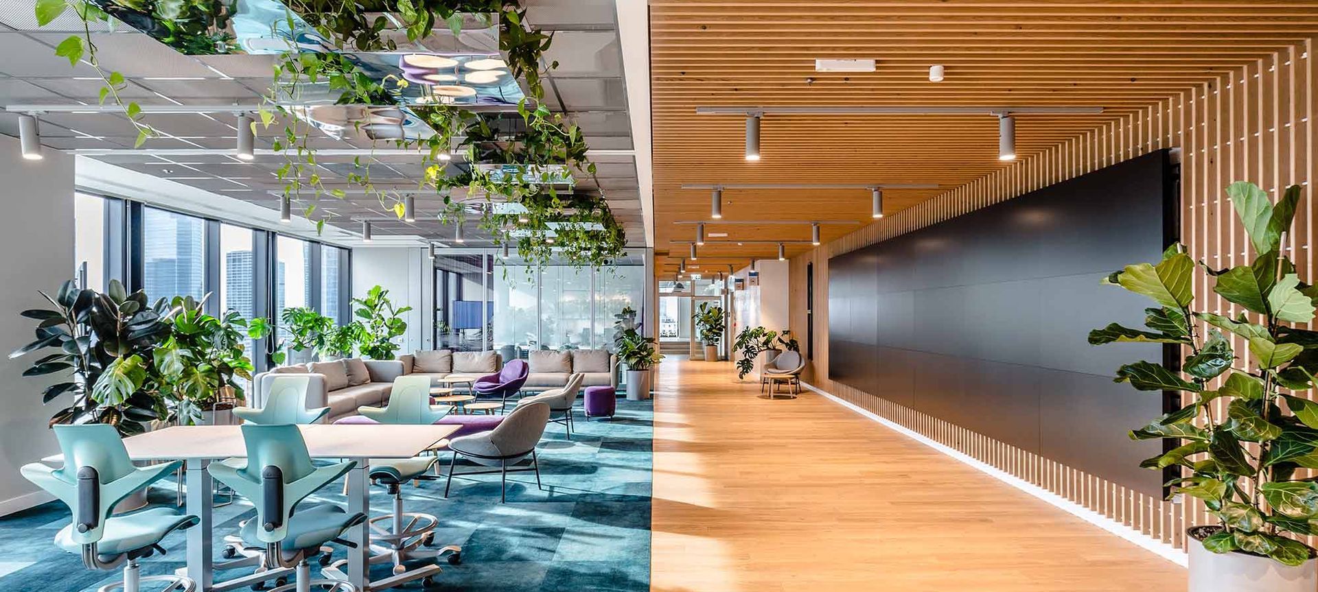 Visionary interior architects unveil their second “less waste” office ...