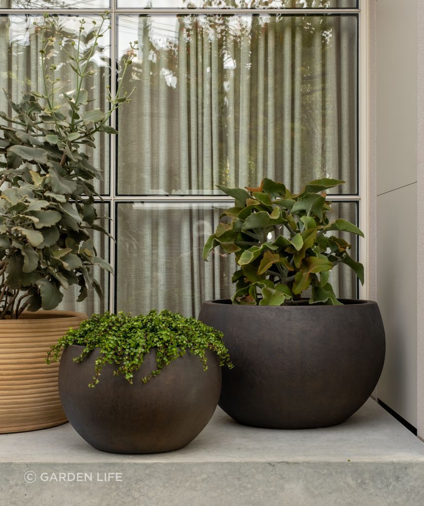 Elevated Forms, Earthy Tones: Introducing Our Latest Collection