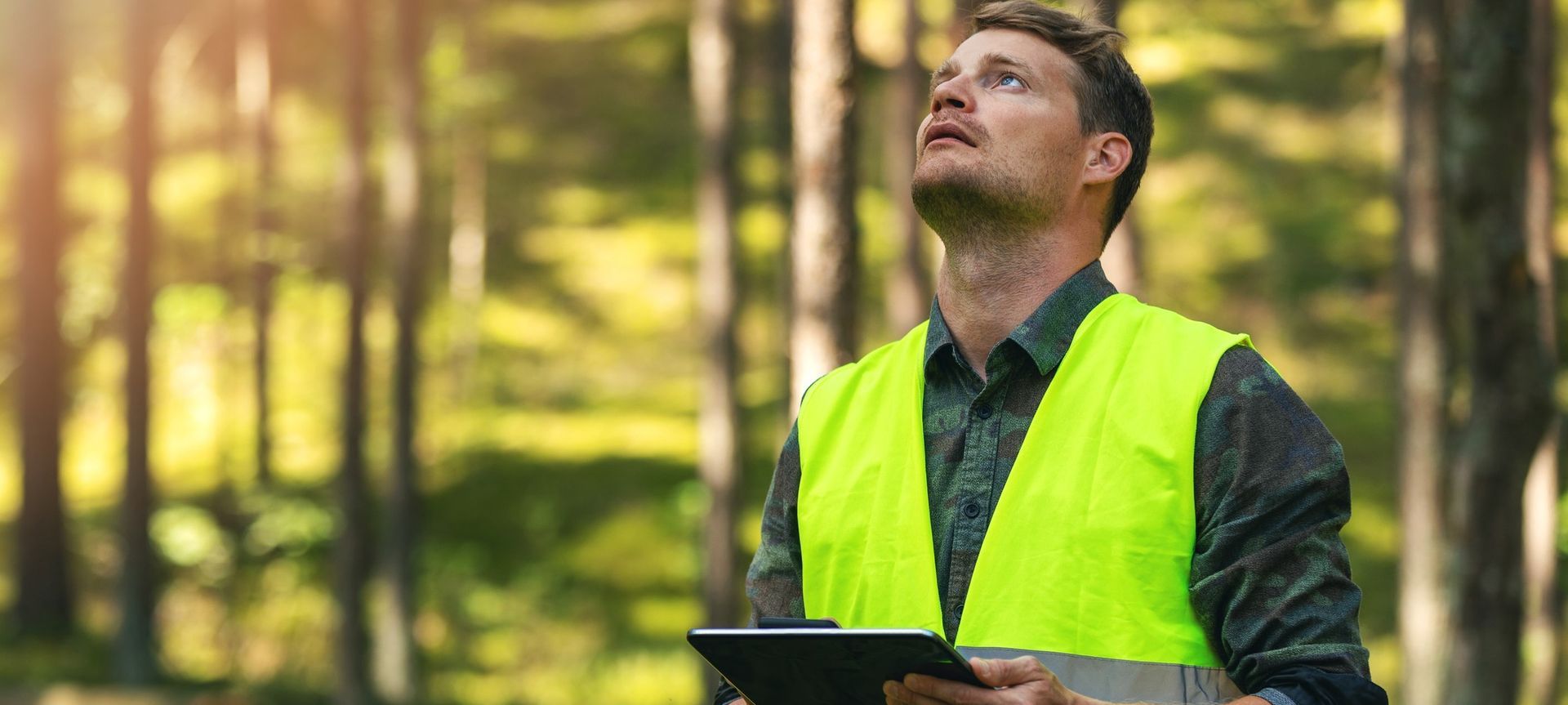 Safeguarding the Future: The Imperative of Responsible Forestry ...