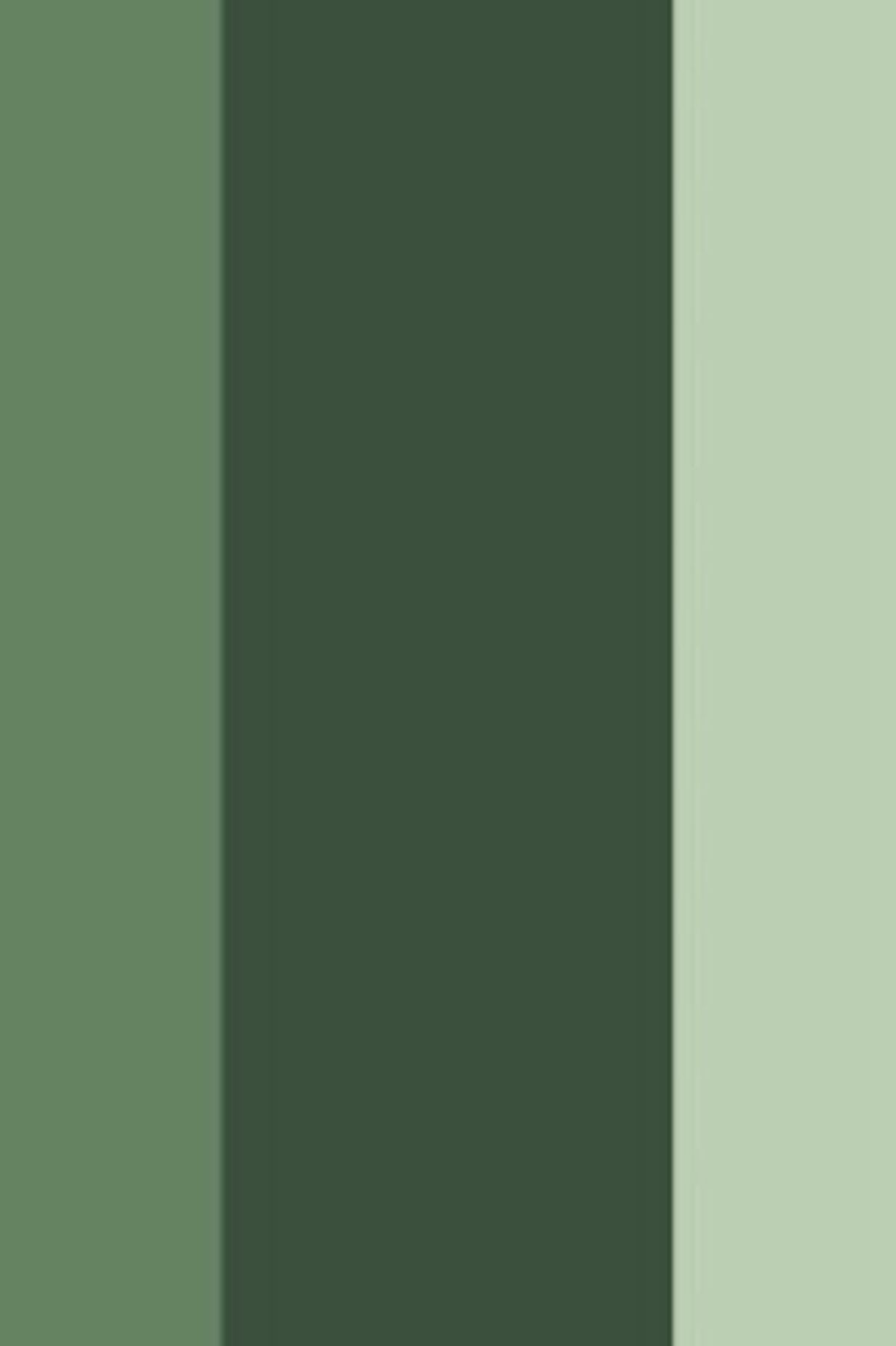 Psychological Properties Of Colours – Green