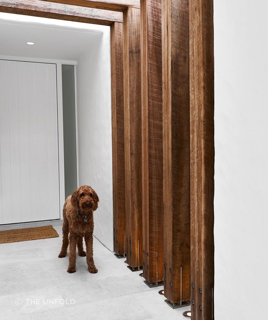 Discover our Top Trends of 2023 | ArchiPro AU