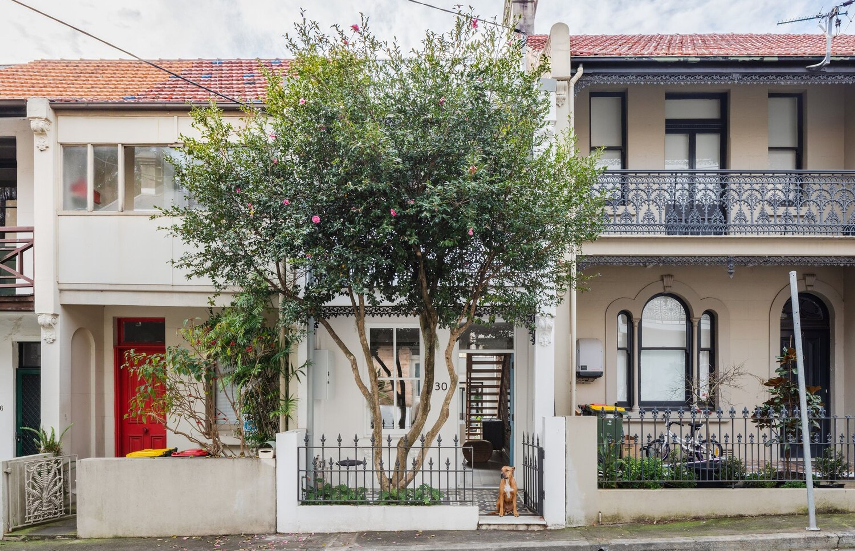 A Paddington terrace home designed for modern living