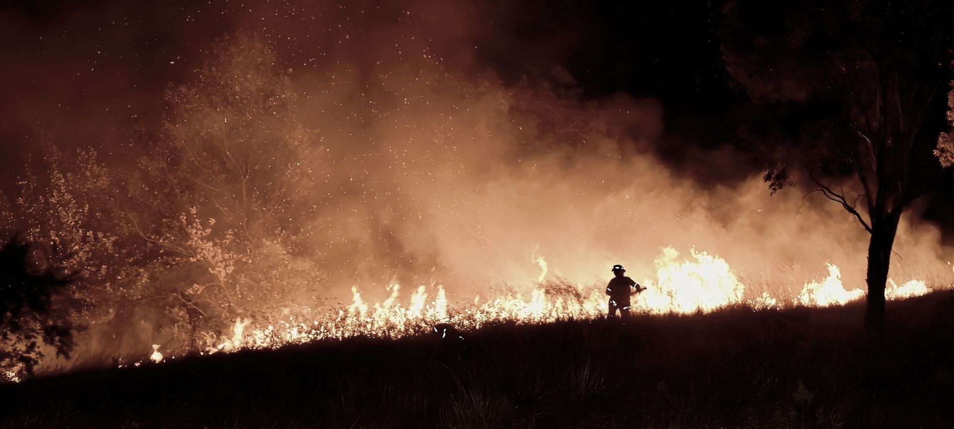 How seals can help prevent future bushfire damage and why they are ...