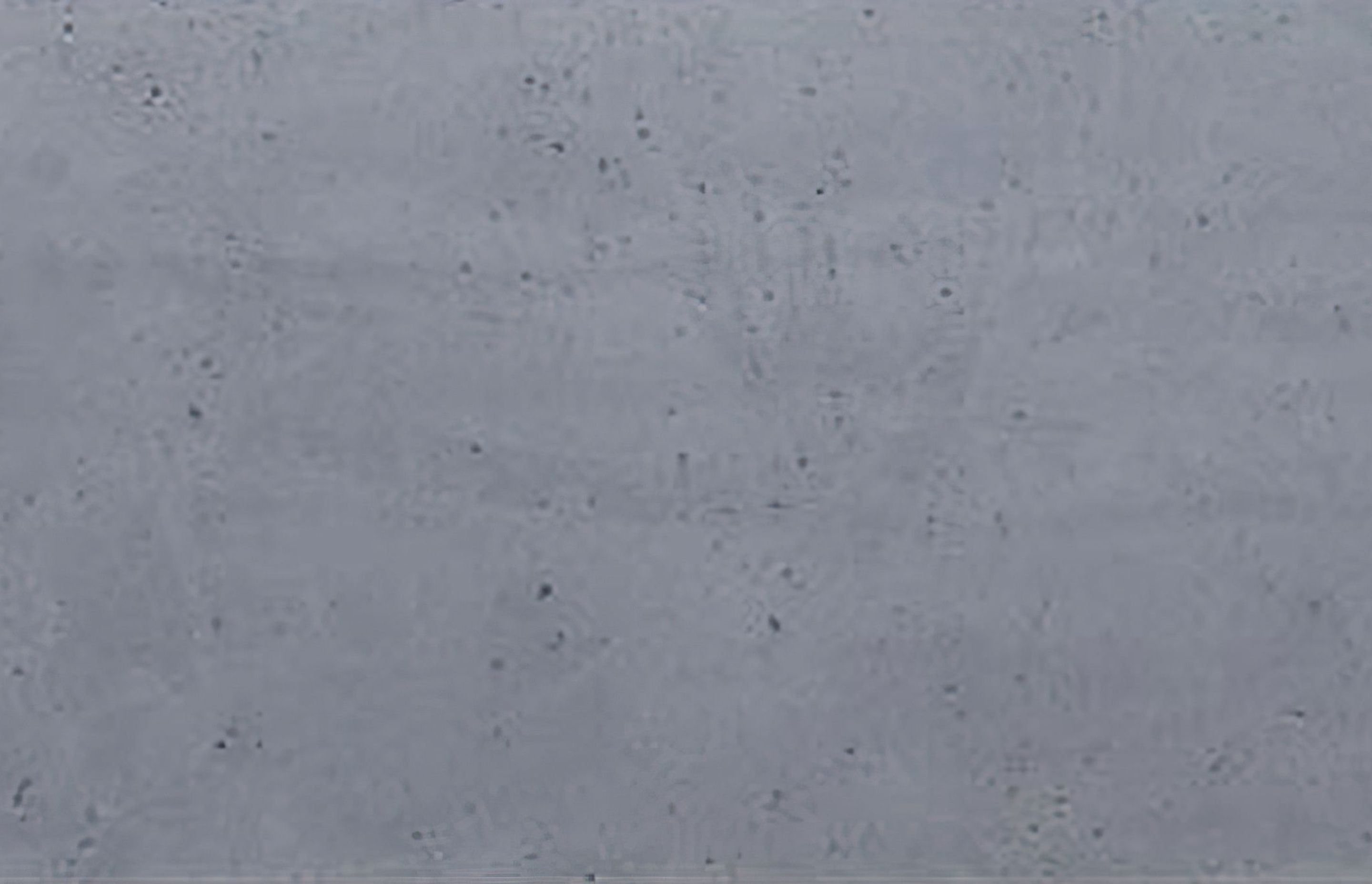 New Pitted Concrete Effects Panels On Trend For 2017