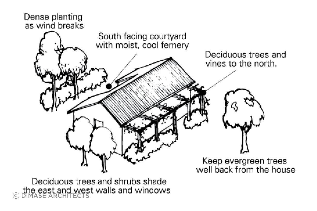 Passive Solar Design Principles | DiMase Architects | ArchiPro AU