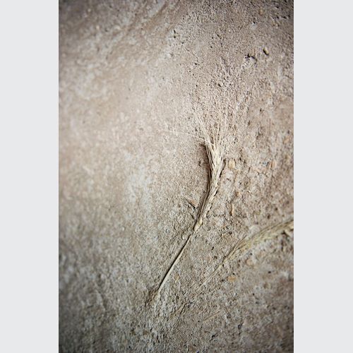 Render Plaster Systems | ArchiPro AU