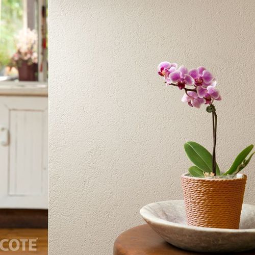 Render Plaster Systems | ArchiPro AU