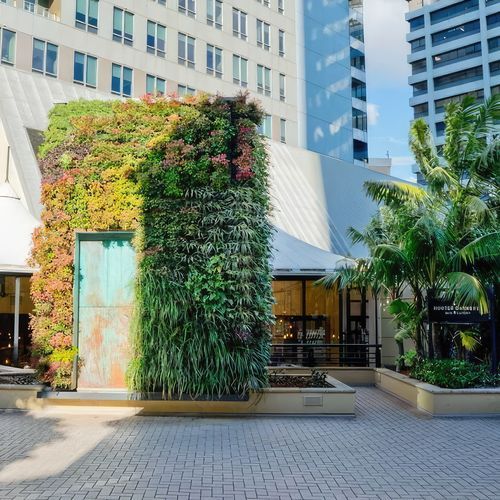 Wall & Vertical Gardens | ArchiPro AU