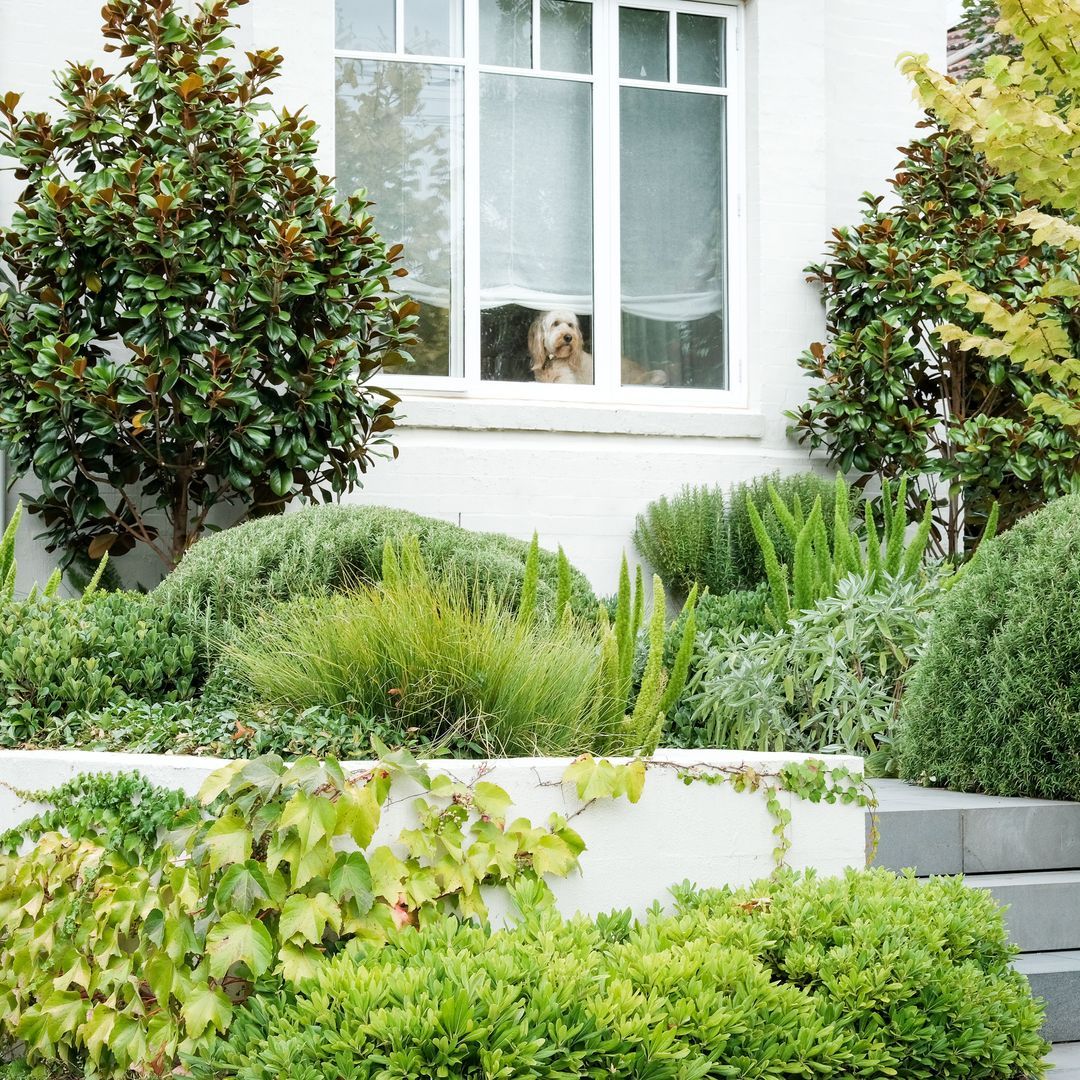 About Andrew Plant Landscapes