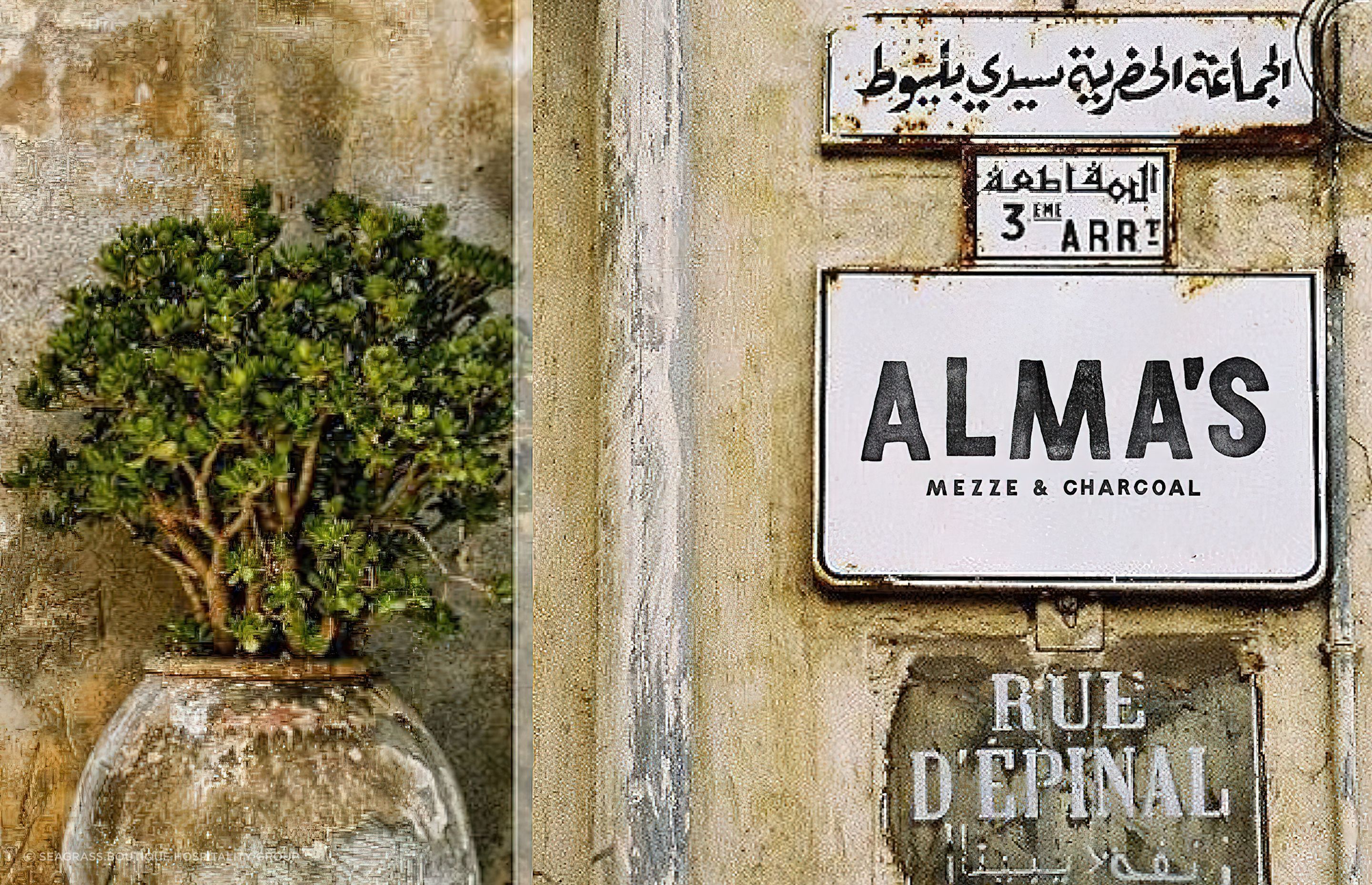 Alma's Kitchen by COOOP | ArchiPro AU