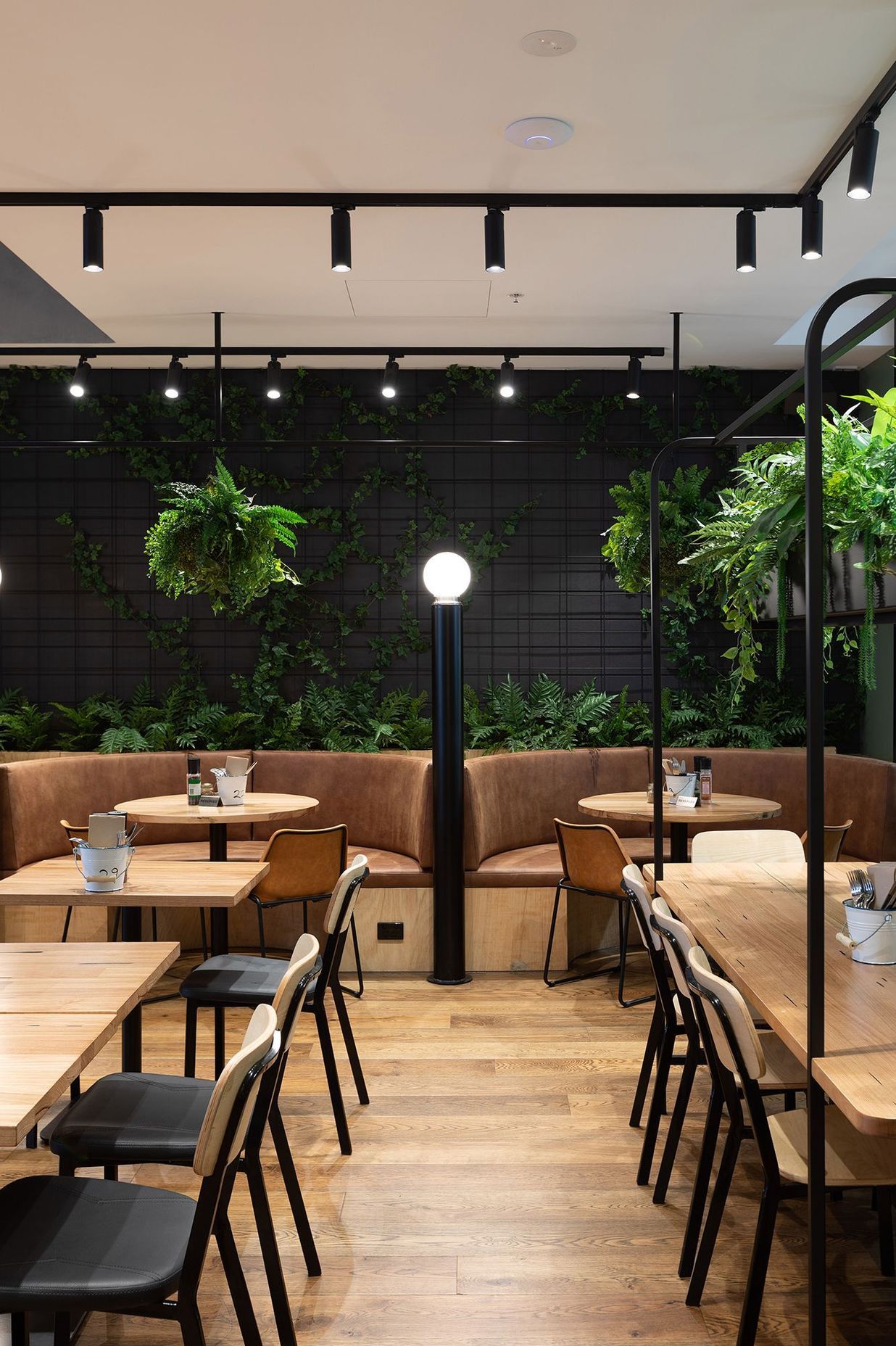 Young & Foolish by Eon Design | ArchiPro AU