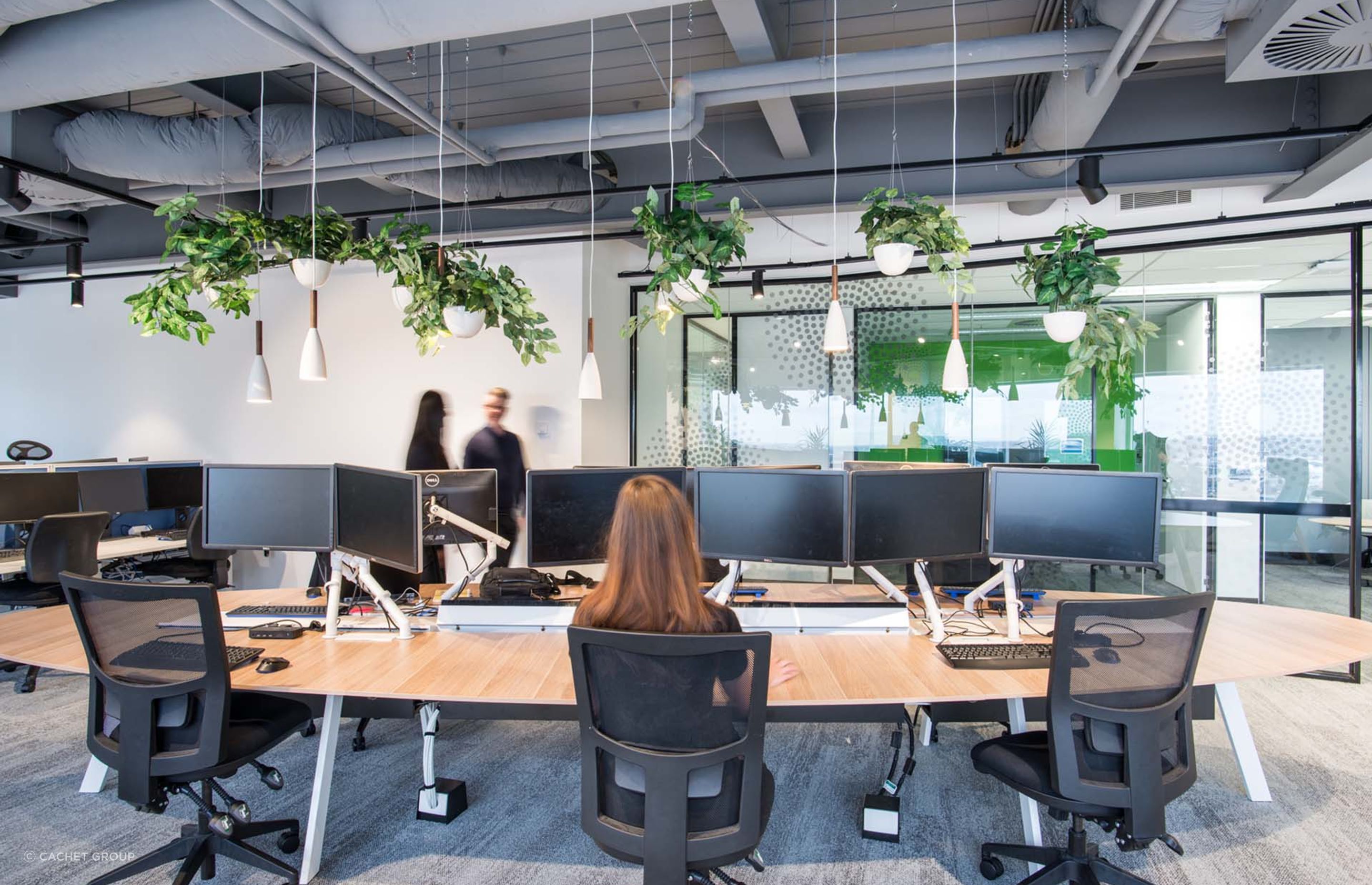 SAS Institute by Cachet Group | ArchiPro AU