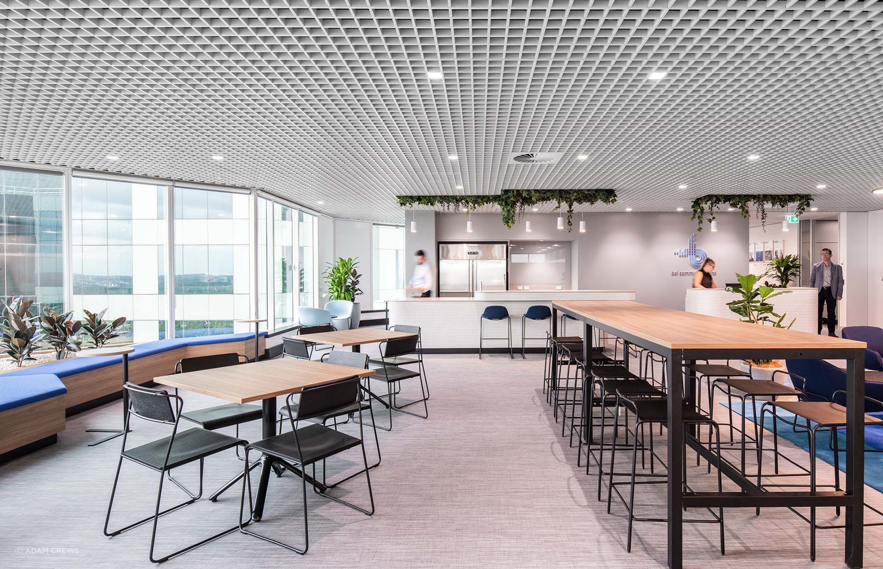 BAI Communications by Cachet Group | ArchiPro AU