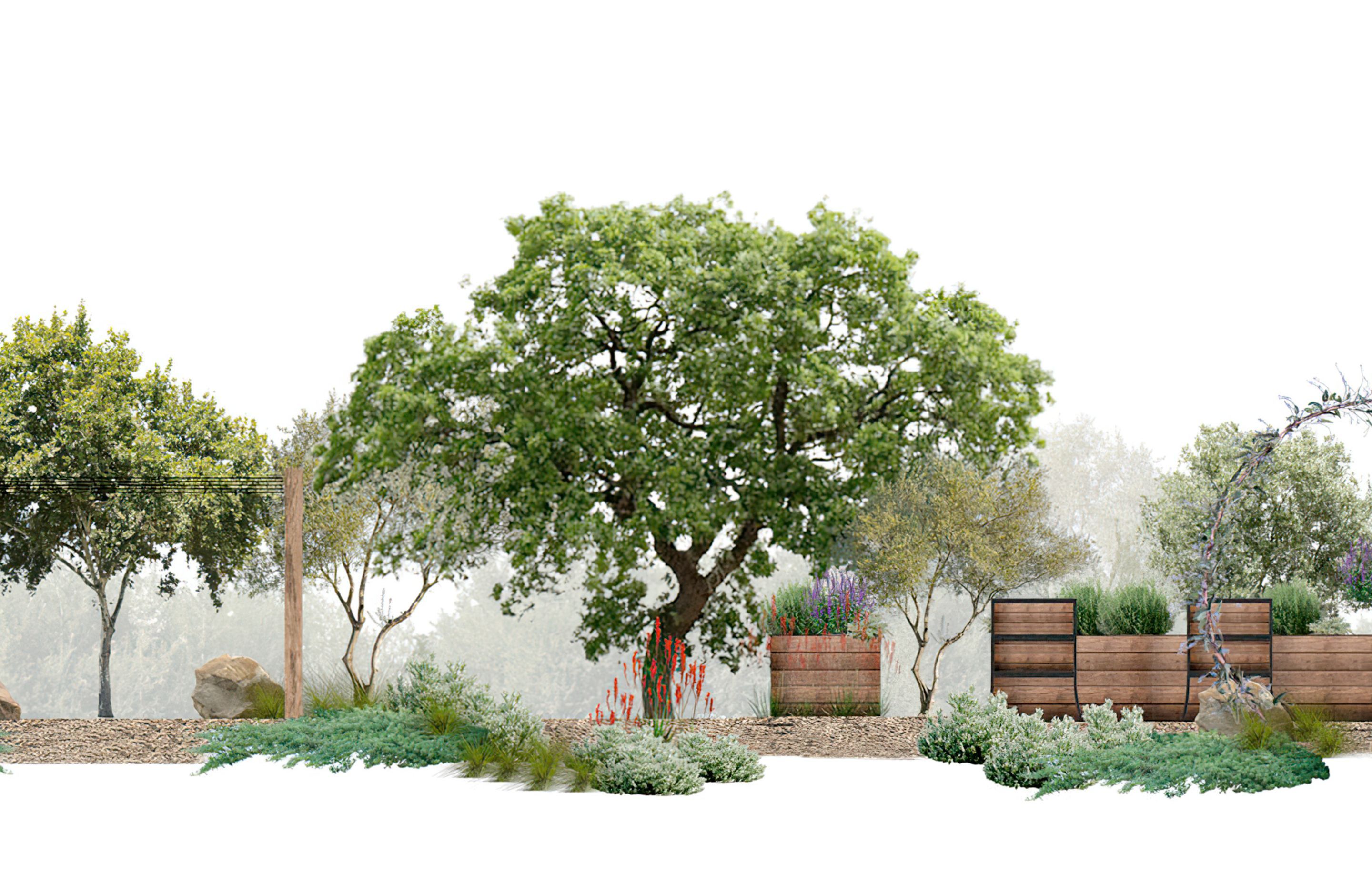 Castlemaine by STEM Landscape Architecture & Design | ArchiPro AU