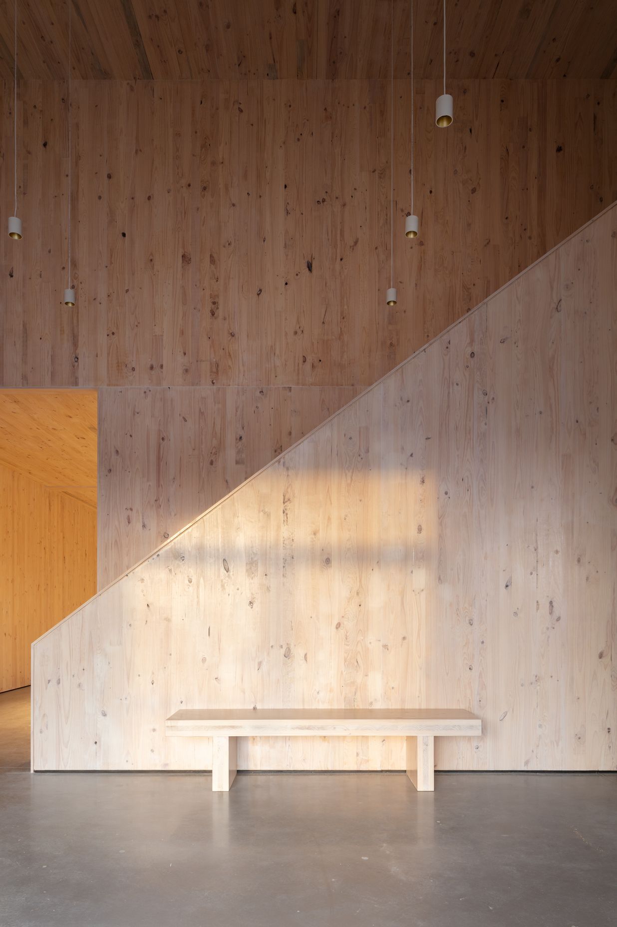 XLam CLT Natural by Responsible Wood | ArchiPro AU