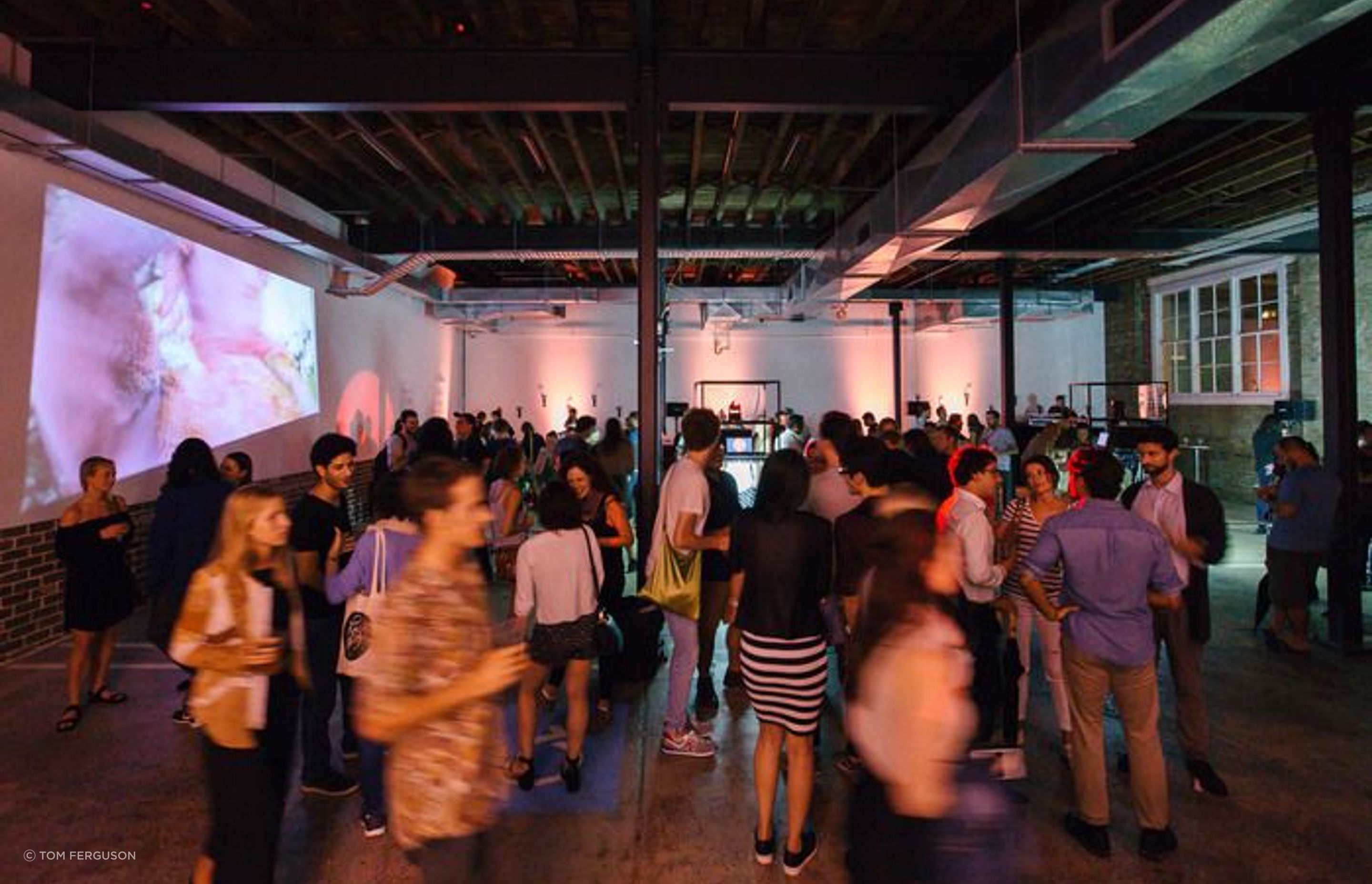 Eveleigh by Atelier Andy Carson | ArchiPro AU