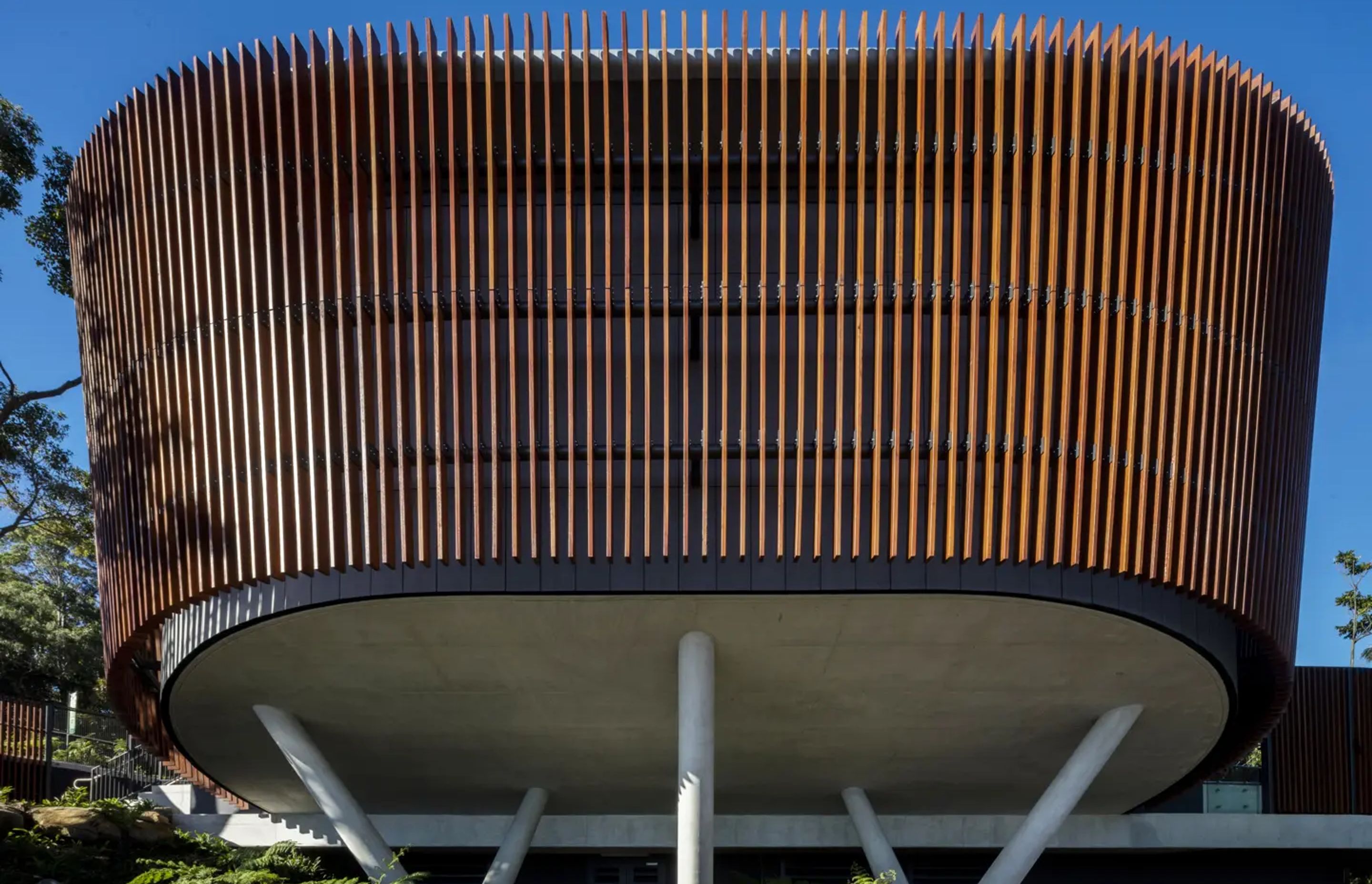 The Centenary Theatre at Taronga Zoo by TKD Architects | ArchiPro AU