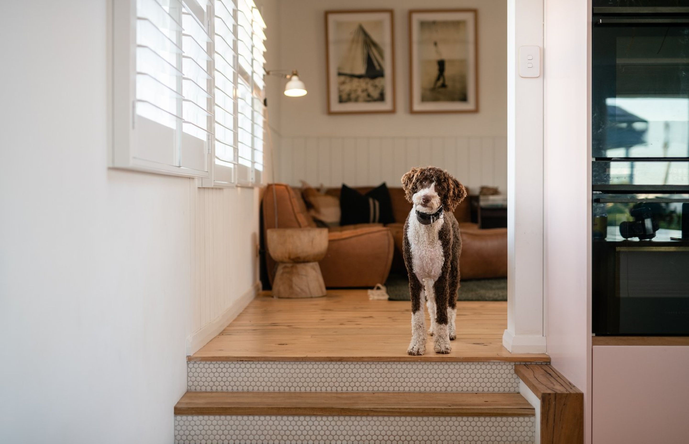 SEA DRAGON by 35 South Building Company | ArchiPro AU