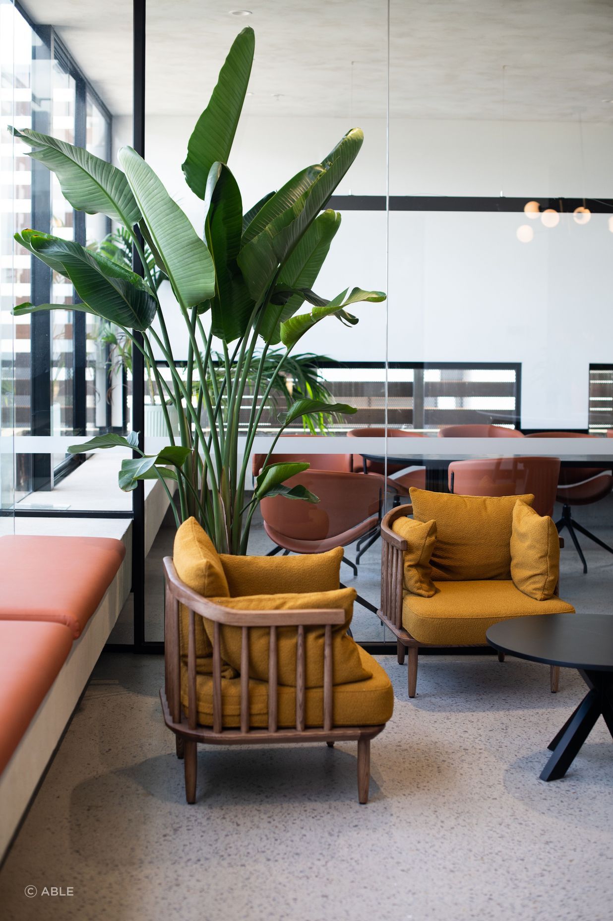 South Melbourne Office by ABLE | ArchiPro AU
