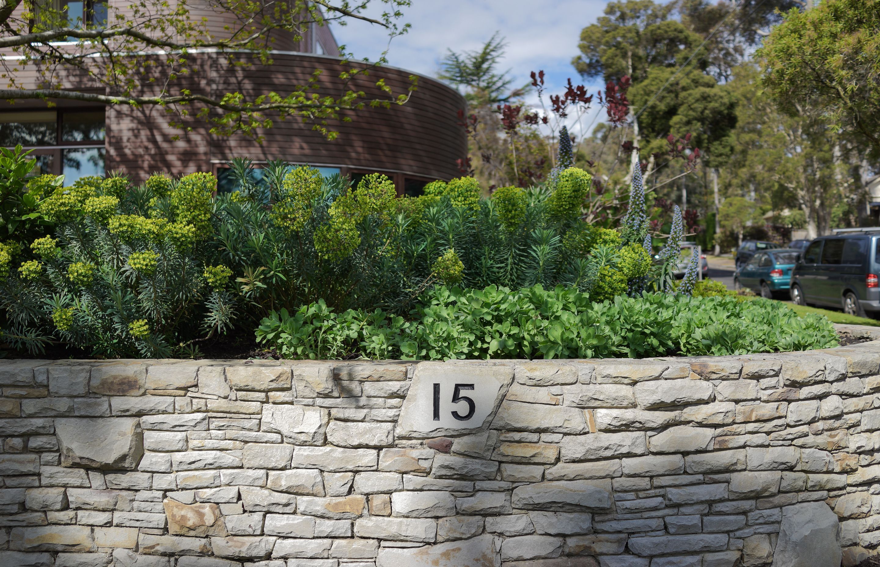 Blackburn by Andy Murray Landscape Design | ArchiPro AU