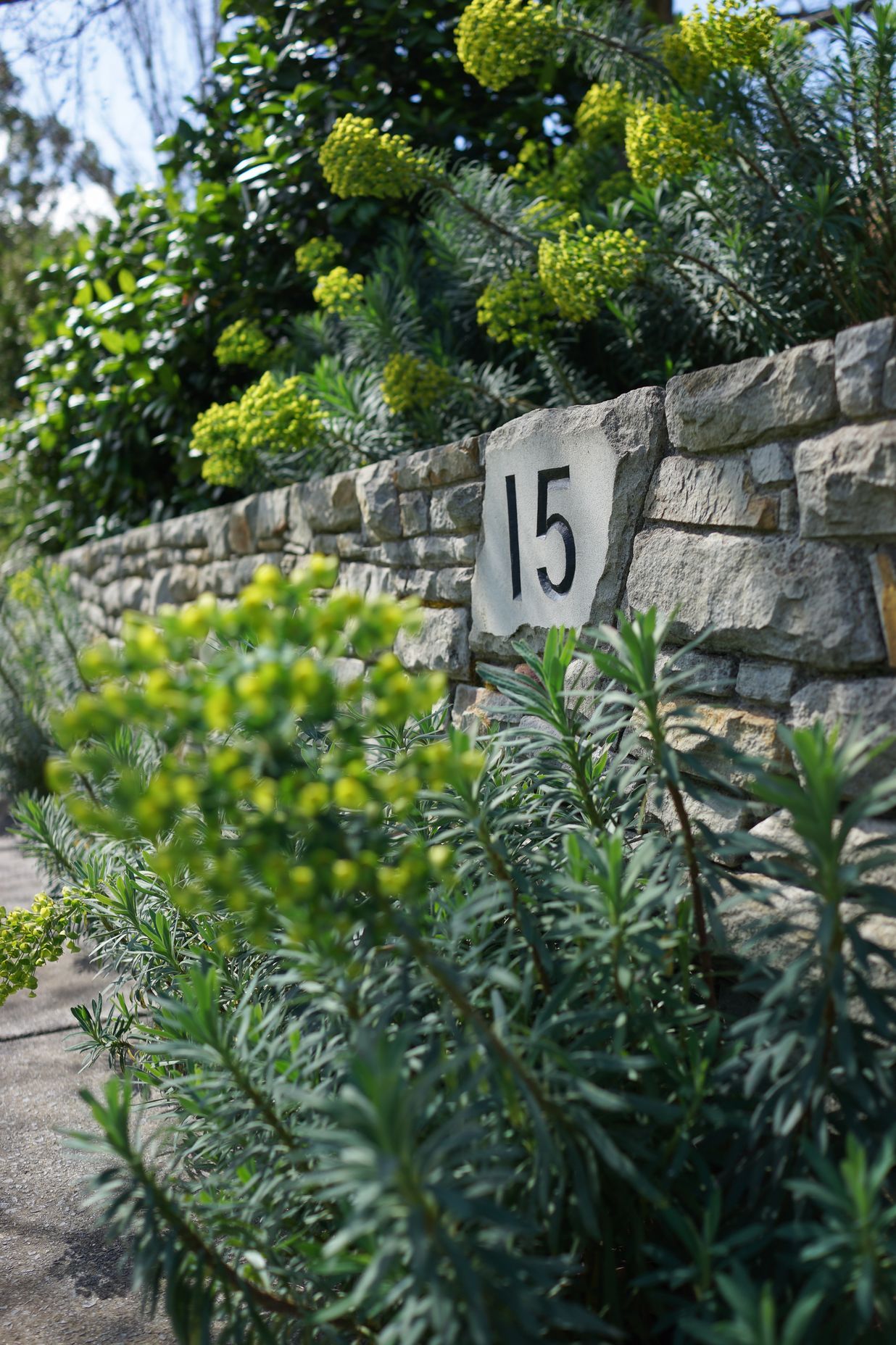 Blackburn by Andy Murray Landscape Design | ArchiPro AU