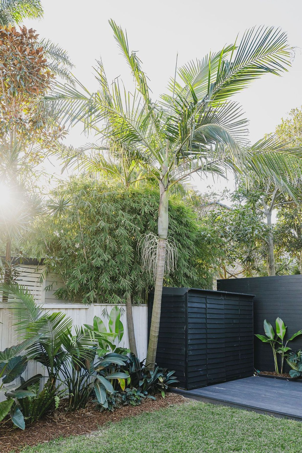 Blair Street North Bondi by Pamment Projects | ArchiPro AU