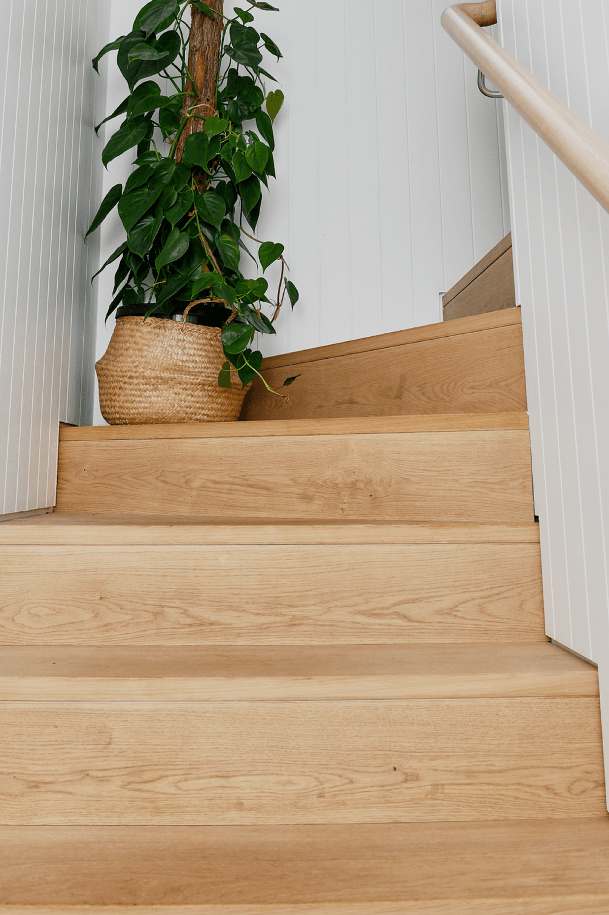 Linthorpe House by Green Anvil Co. | ArchiPro AU