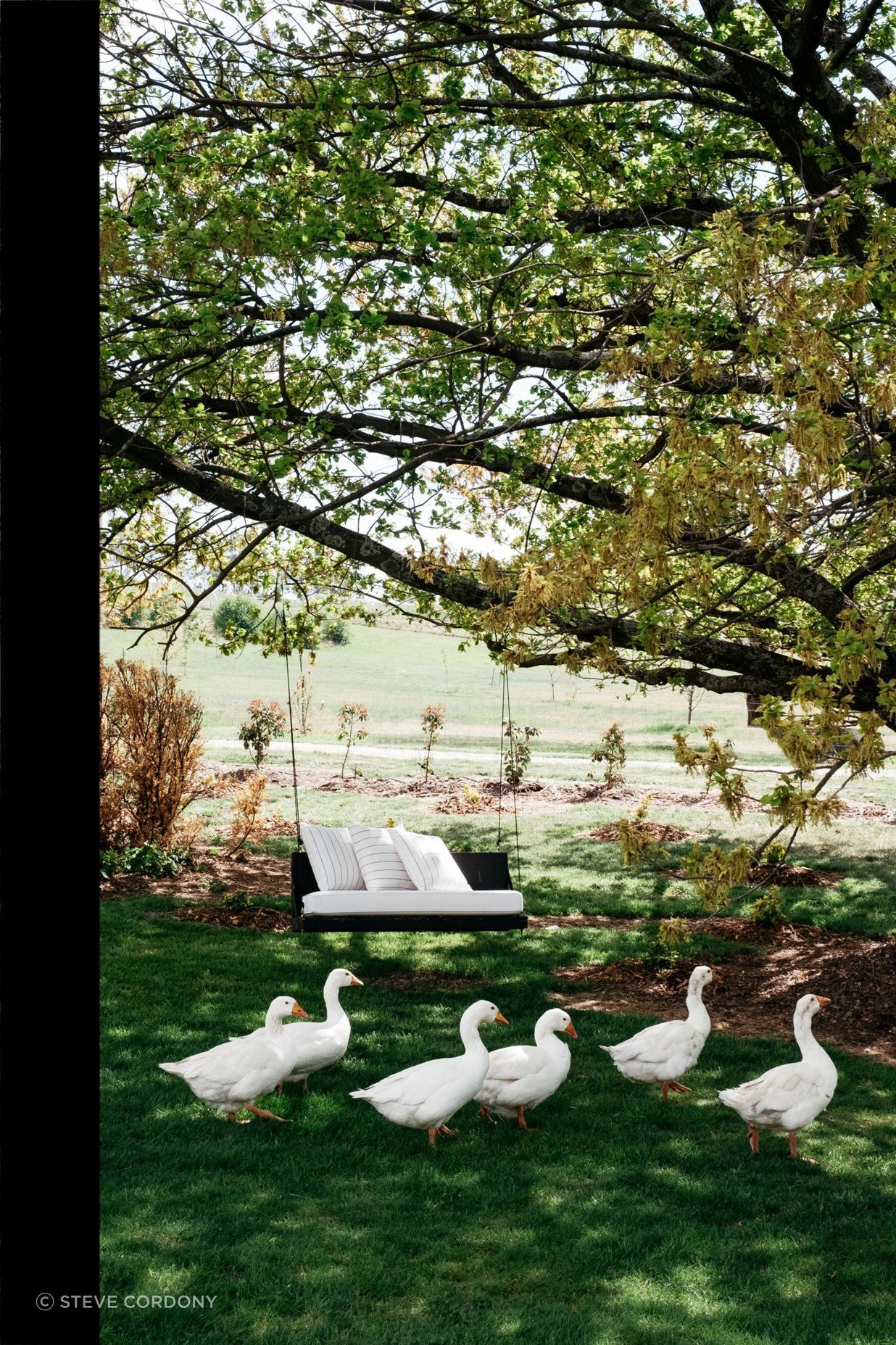 Steve Cordony's Rosedale Farm Stay by Sculpt Fireplace Collection ...