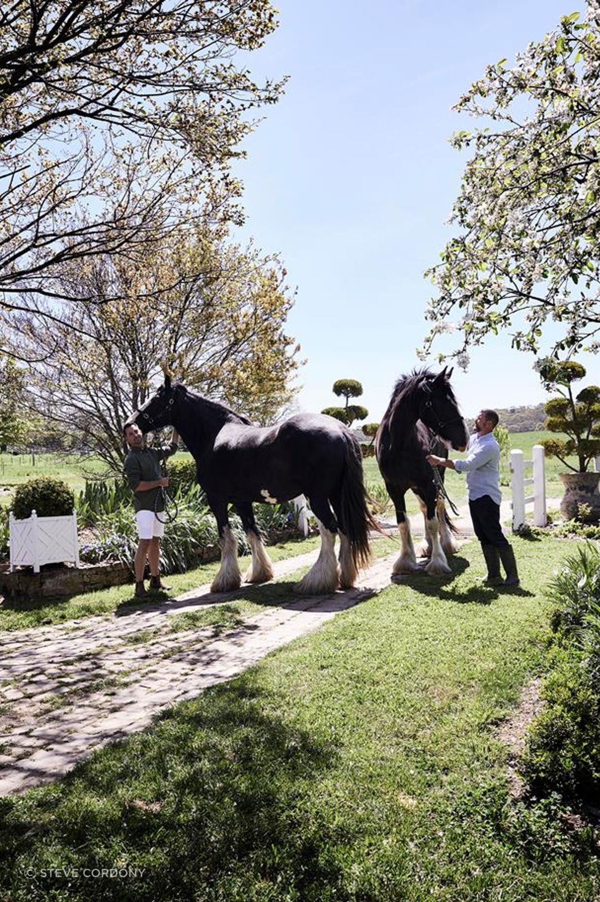 Steve Cordony's Rosedale Farm Stay by Sculpt Fireplace Collection ...