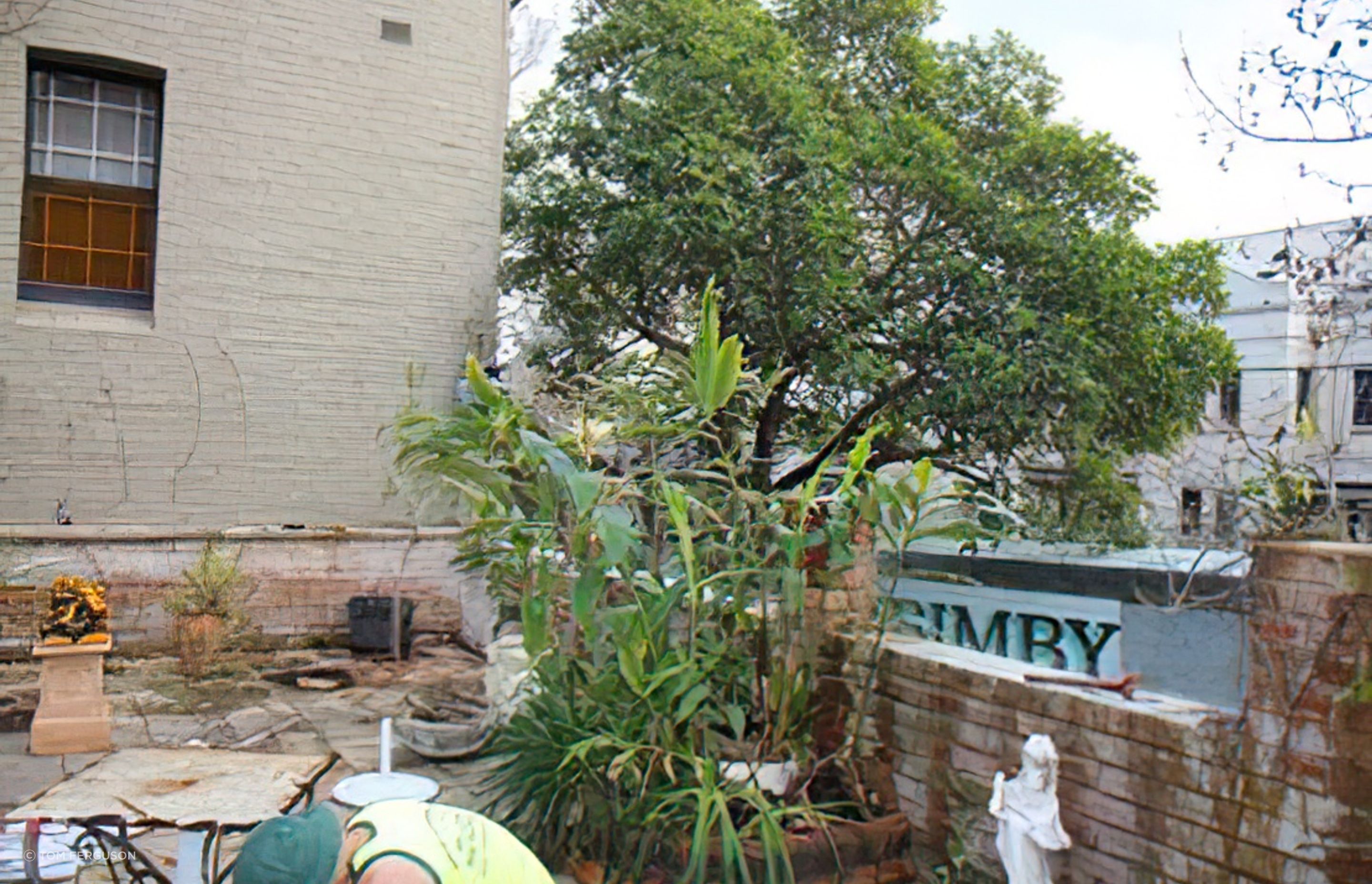 Riley Street by Innovate Architects | ArchiPro AU