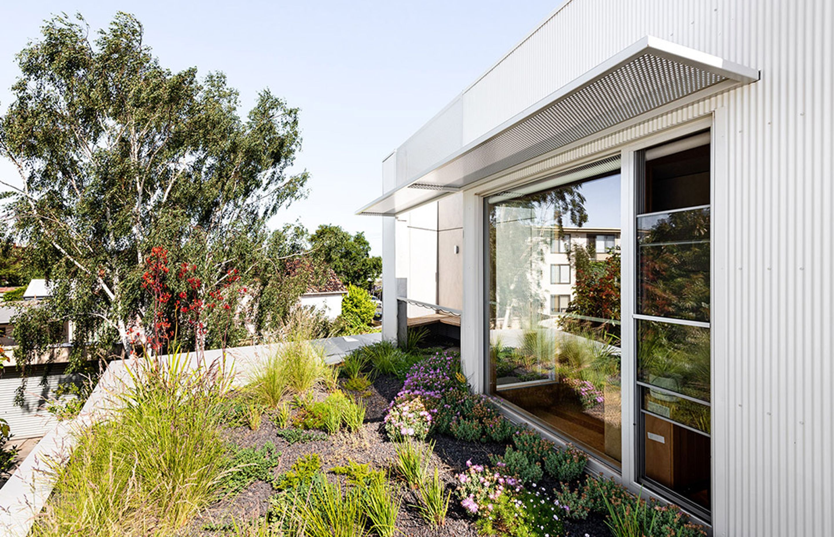 Ascot Vale by Neverstop Group | ArchiPro AU