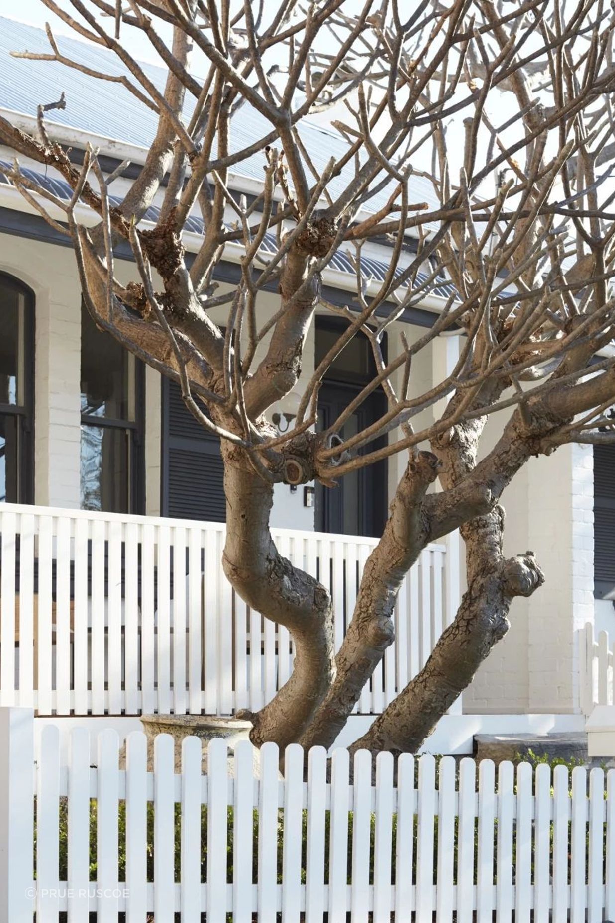 Burlington by Studio Gorman | ArchiPro AU