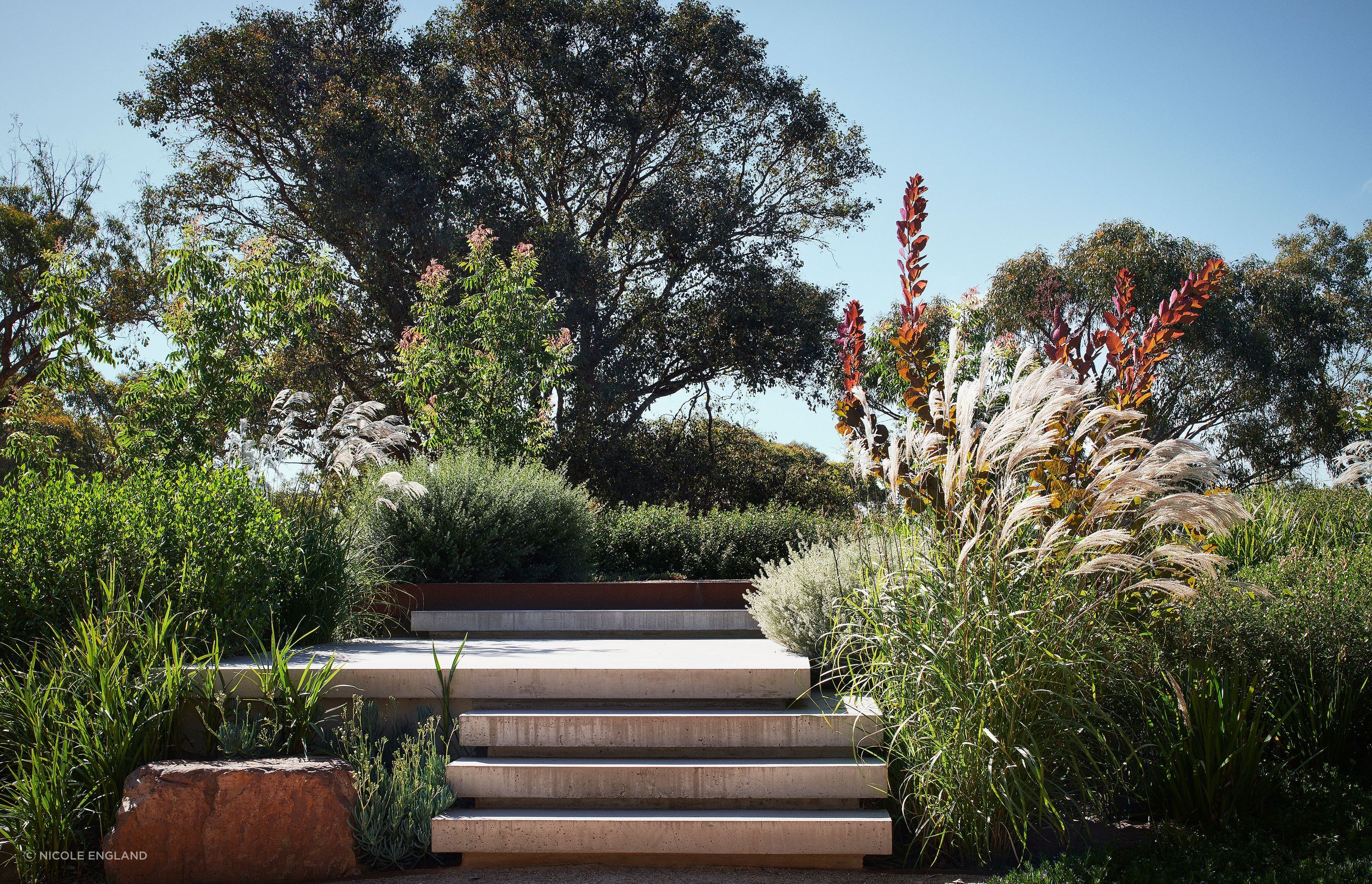 Panton Hill by Mills Gorman Architects | ArchiPro AU