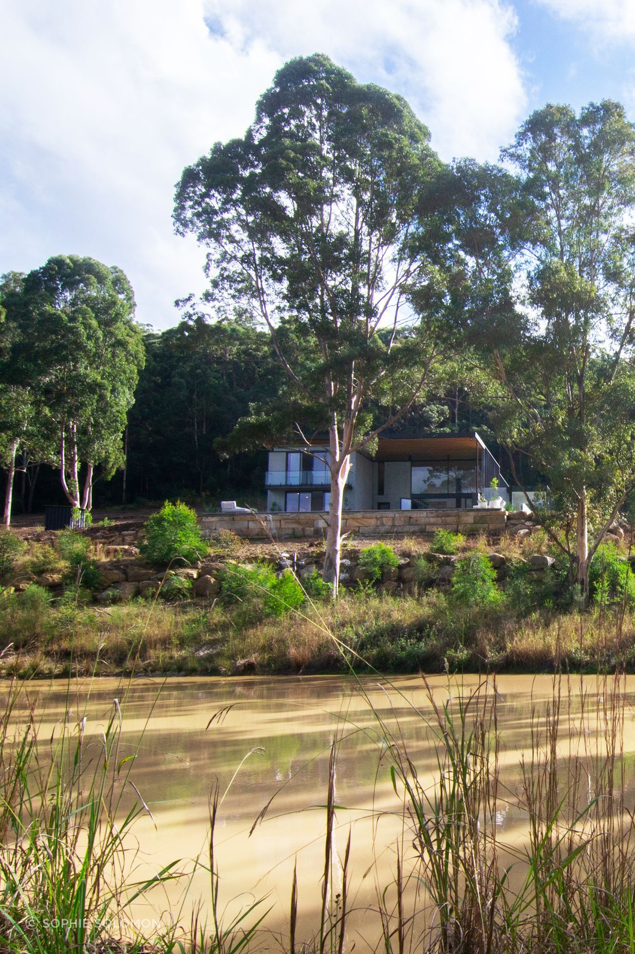 Elemental House by ssd studio | ArchiPro AU