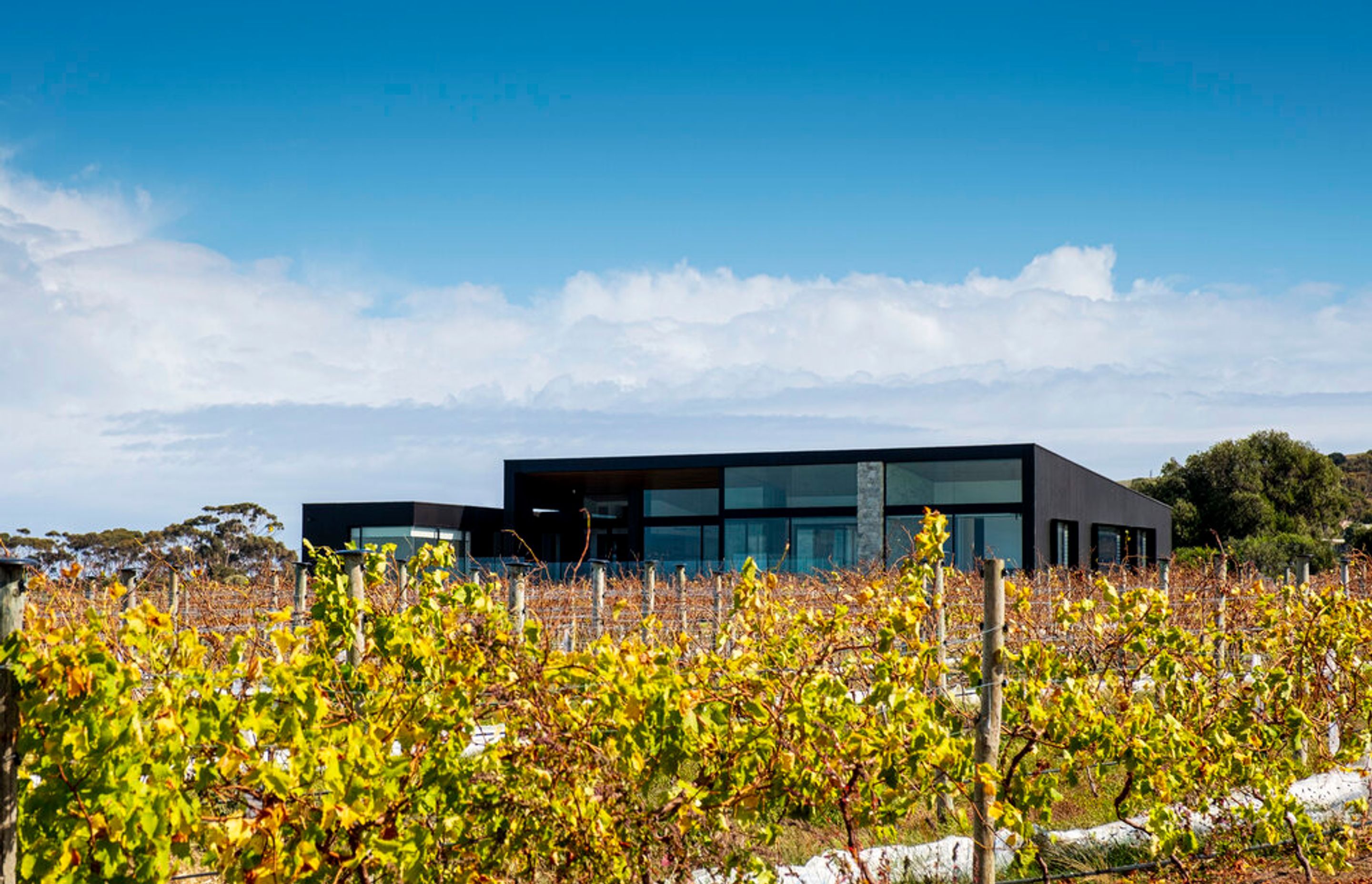 Port Elliot Retreat by Enzo Caroscio Architecture | ArchiPro AU