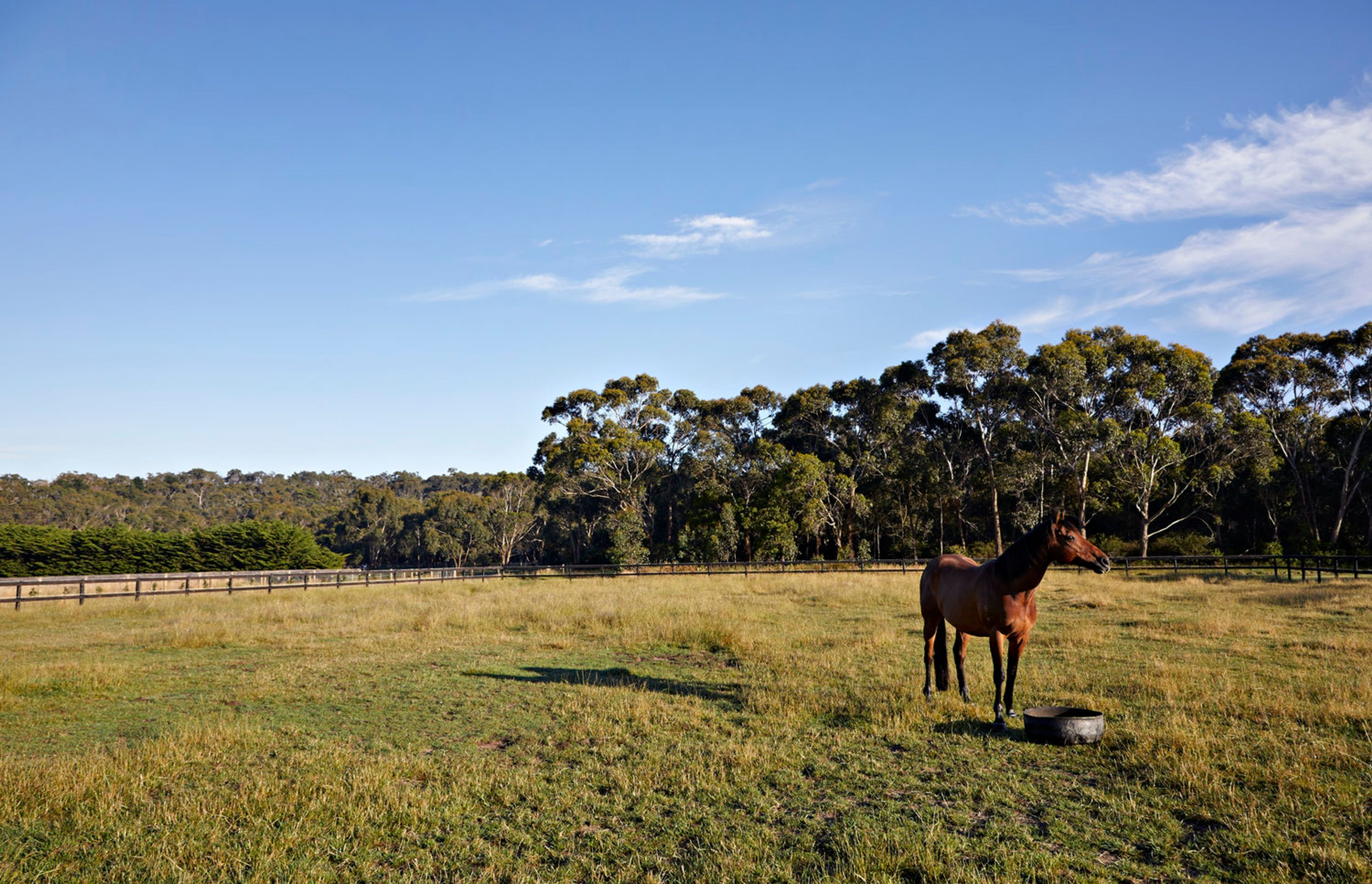 TK House, Tuerong by Planned Living Architects | ArchiPro AU