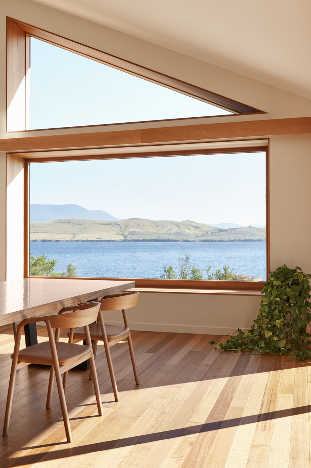 Thinking Paddock House by Open Creative Studio | ArchiPro AU