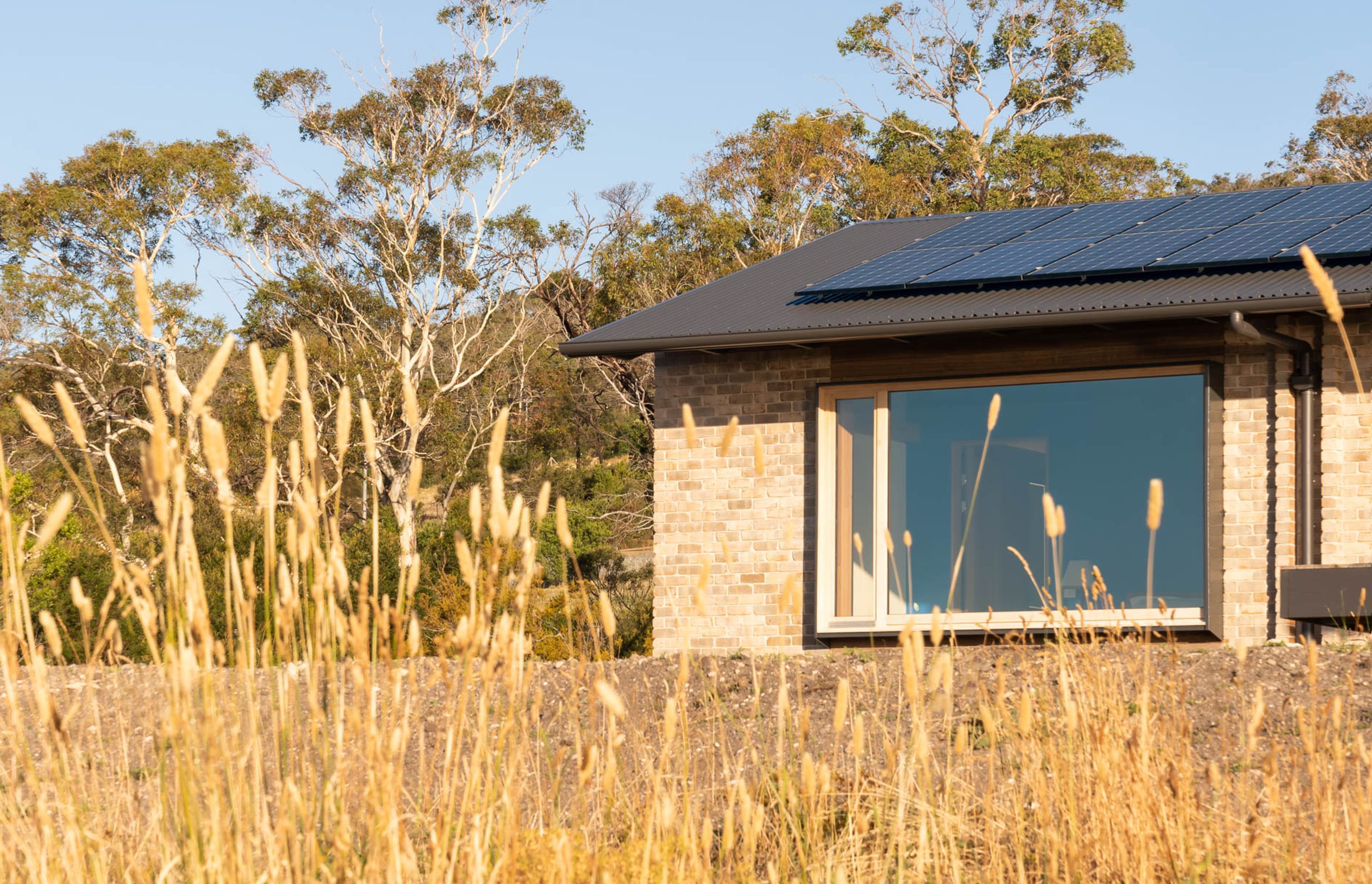 Thinking Paddock House by Open Creative Studio | ArchiPro AU