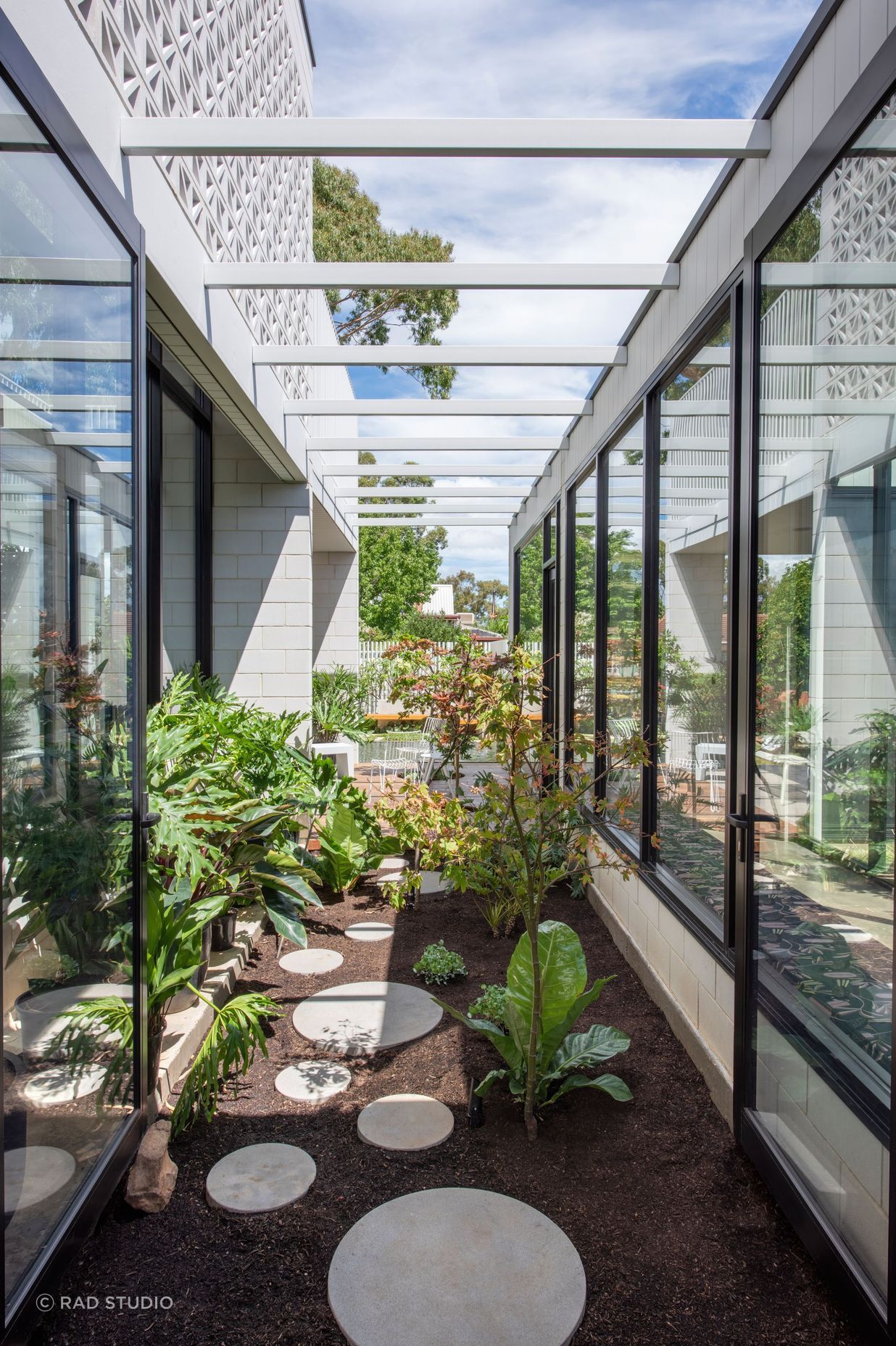 The Cycad House by RAD Studio | ArchiPro AU