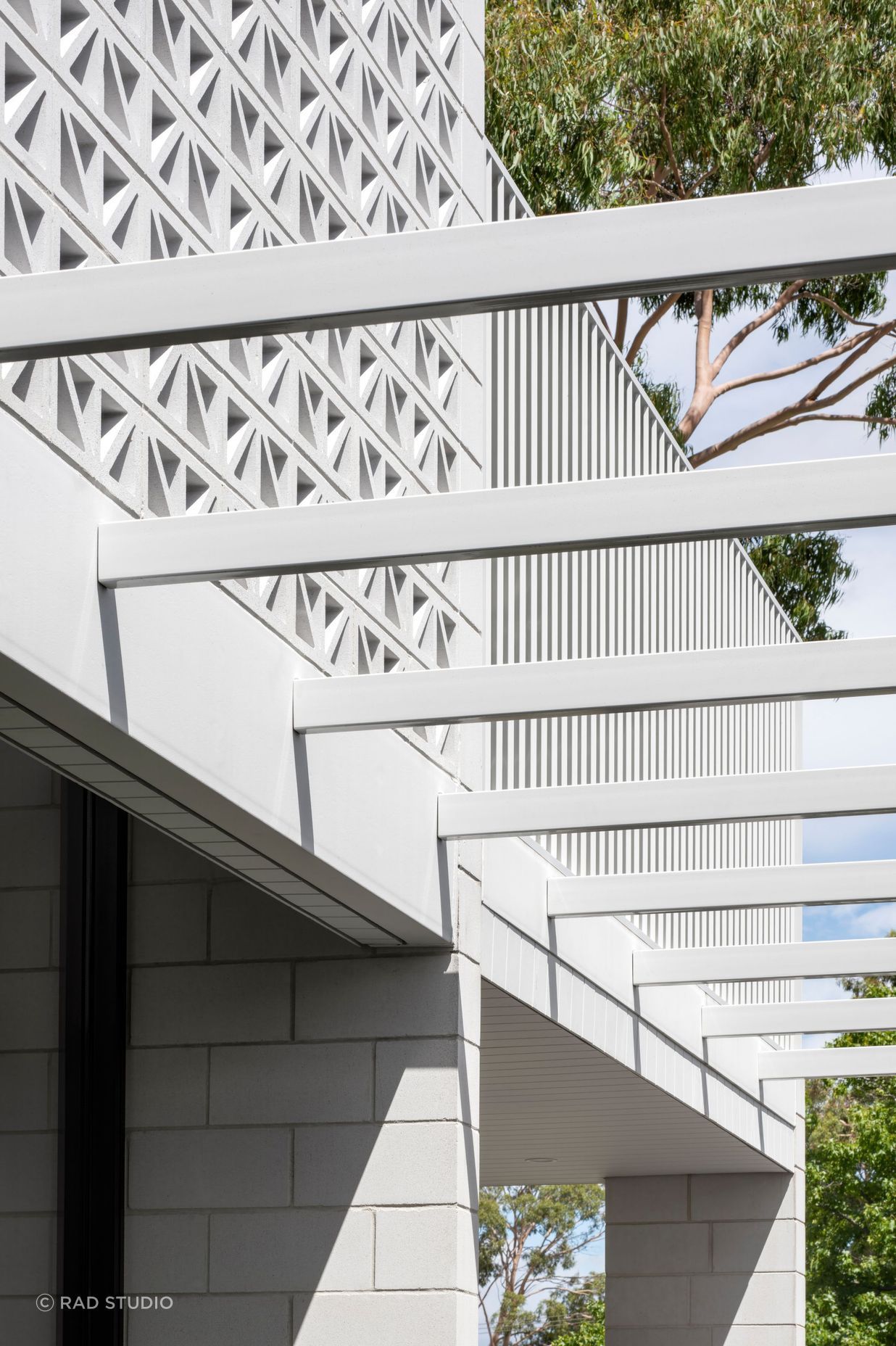 The Cycad House by RAD Studio | ArchiPro AU