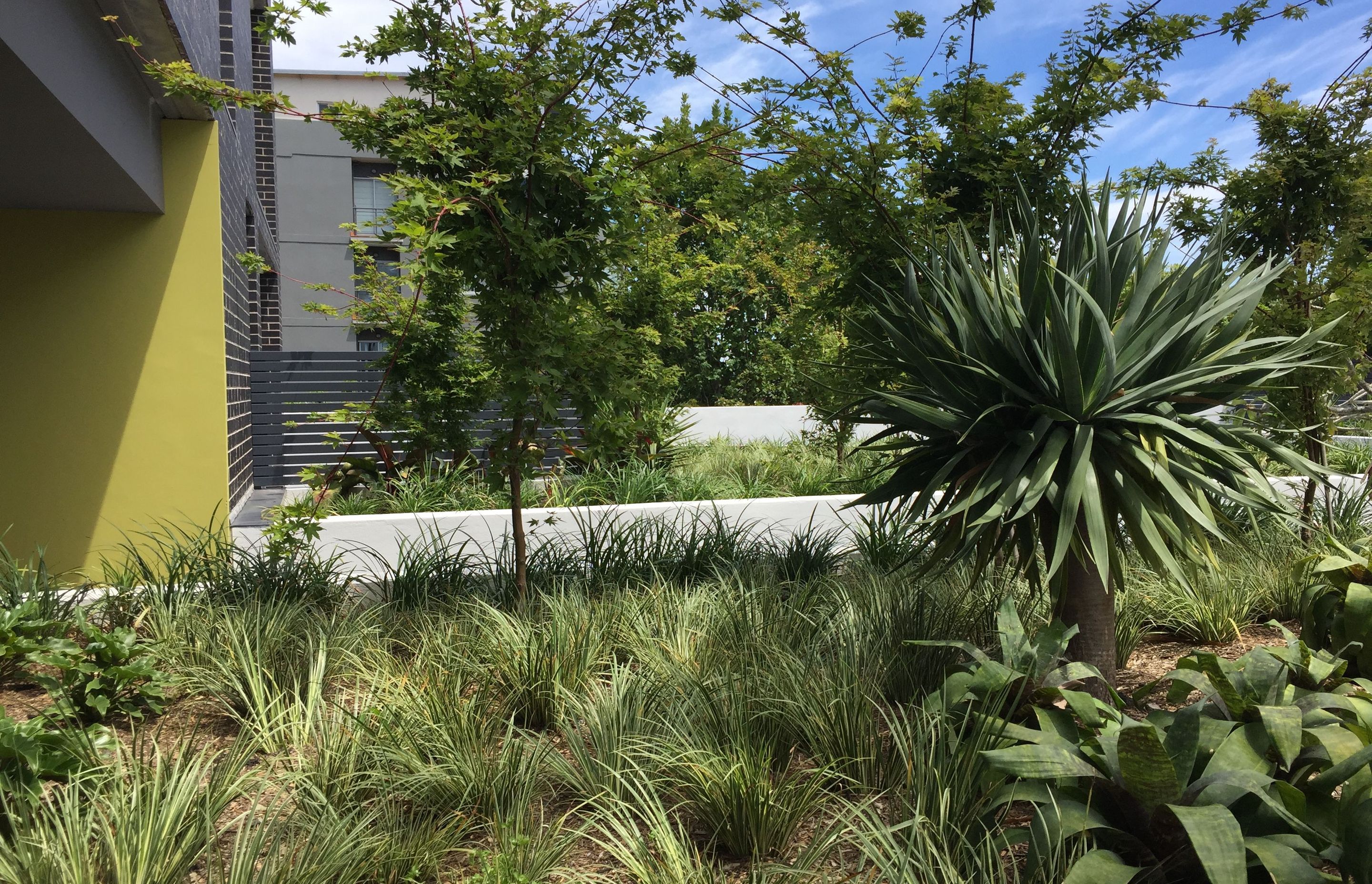 Asper Residential by Umbaco Landscape Architects | ArchiPro AU