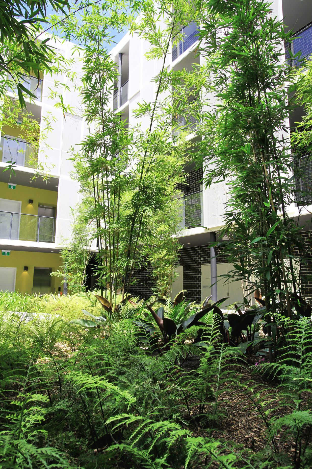 Asper Residential by Umbaco Landscape Architects | ArchiPro AU