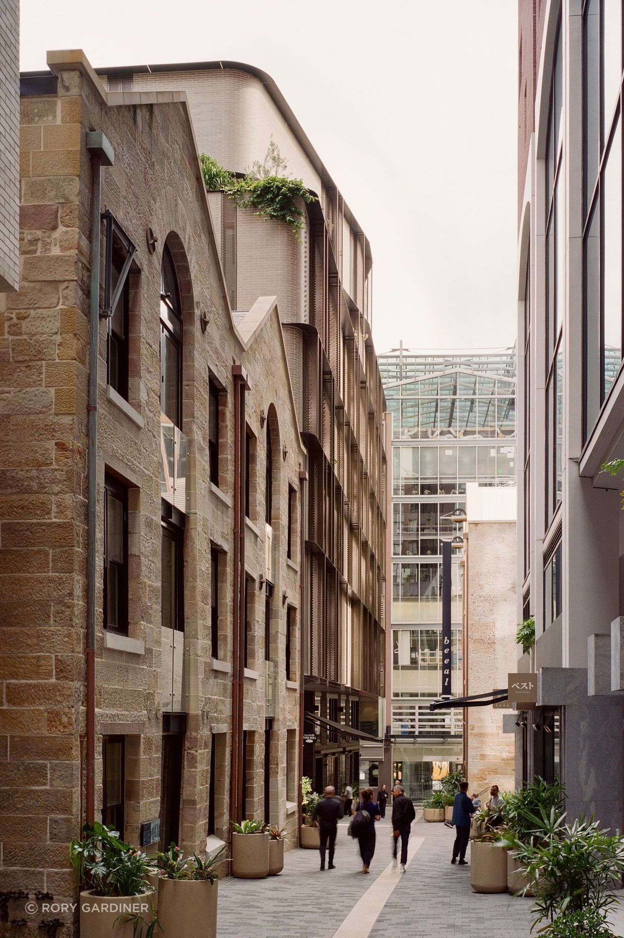 Young Street by SJB | ArchiPro AU