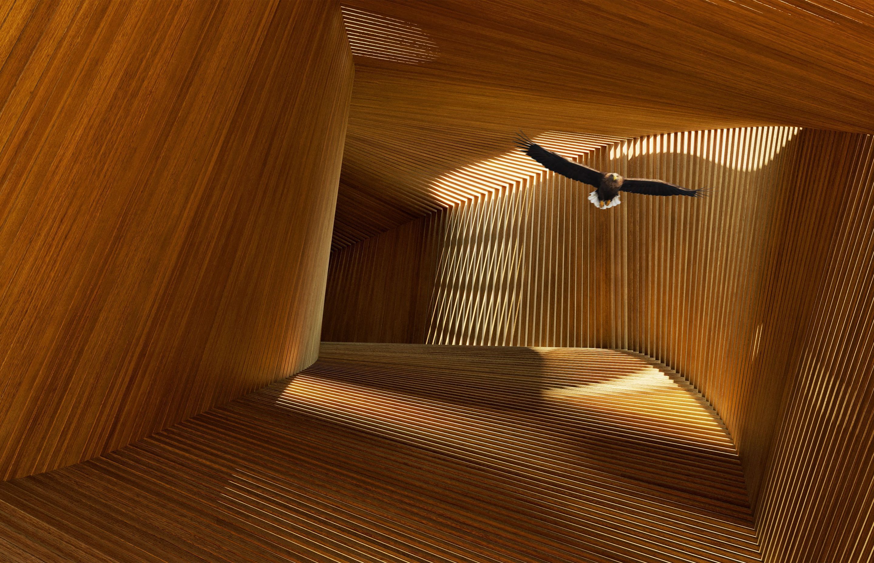 Raptor Enclosure by One Design Office | ArchiPro AU