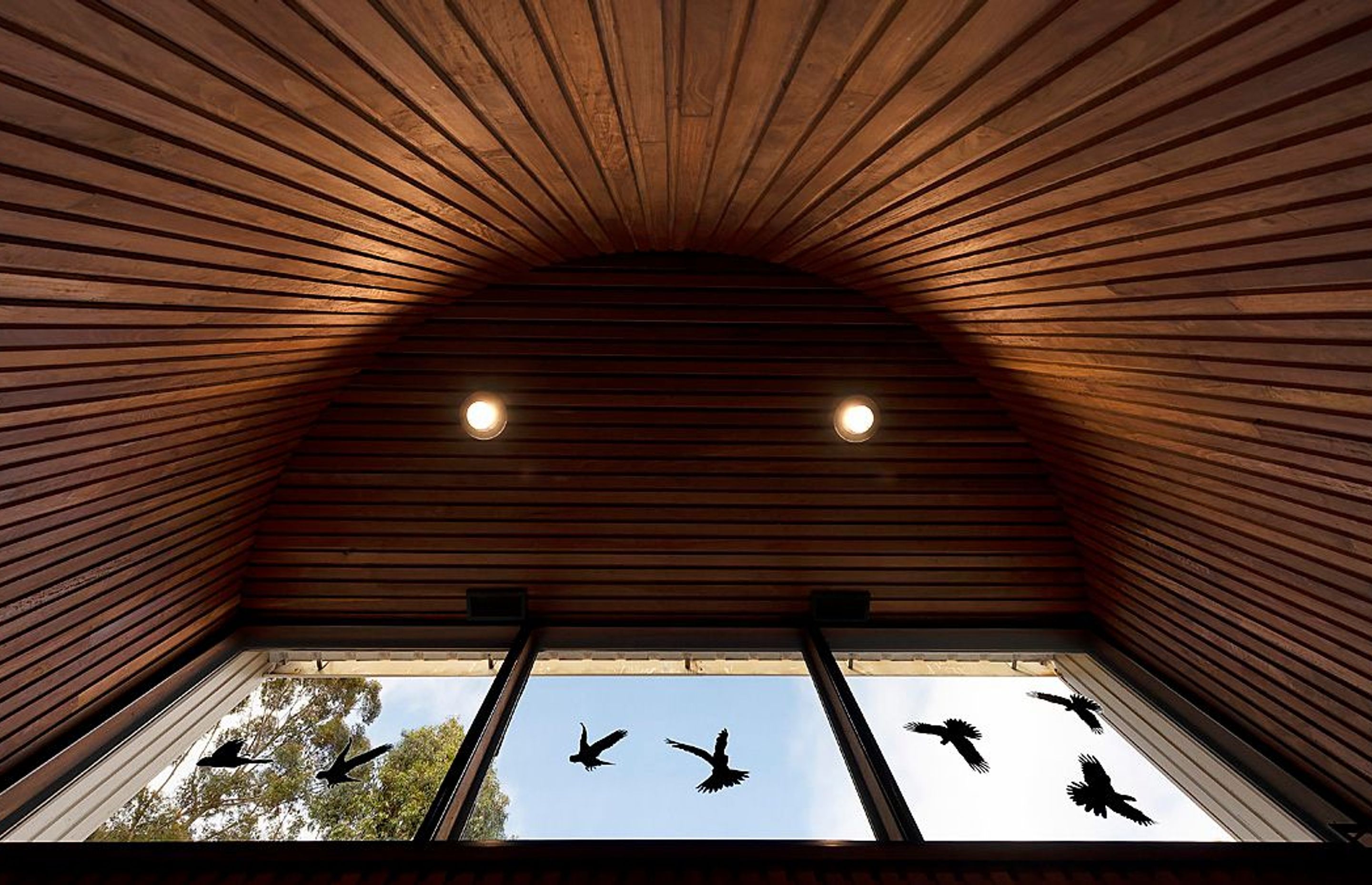 Manjimup State Timber Museum by Suzanne Hunt Architect | ArchiPro AU