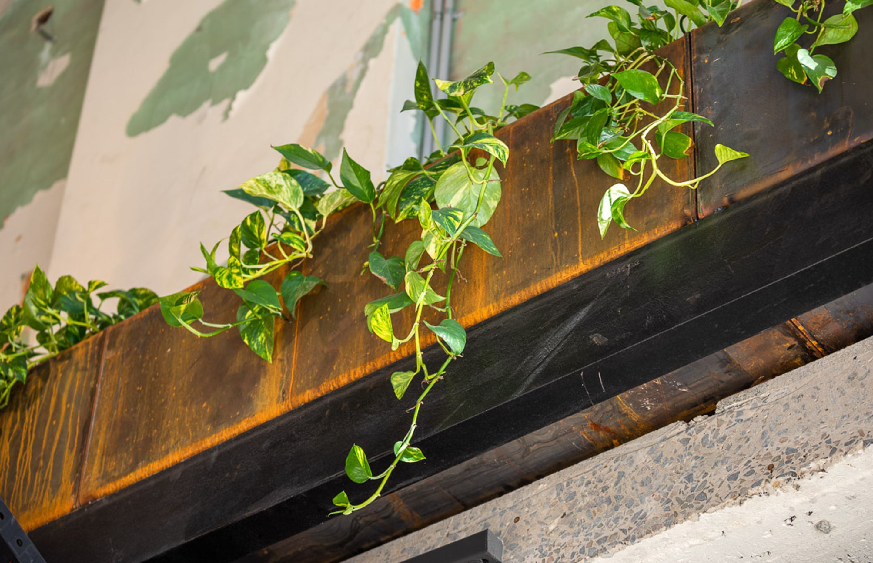 The Hayesbery by Nimbus Architecture & Heritage | ArchiPro AU