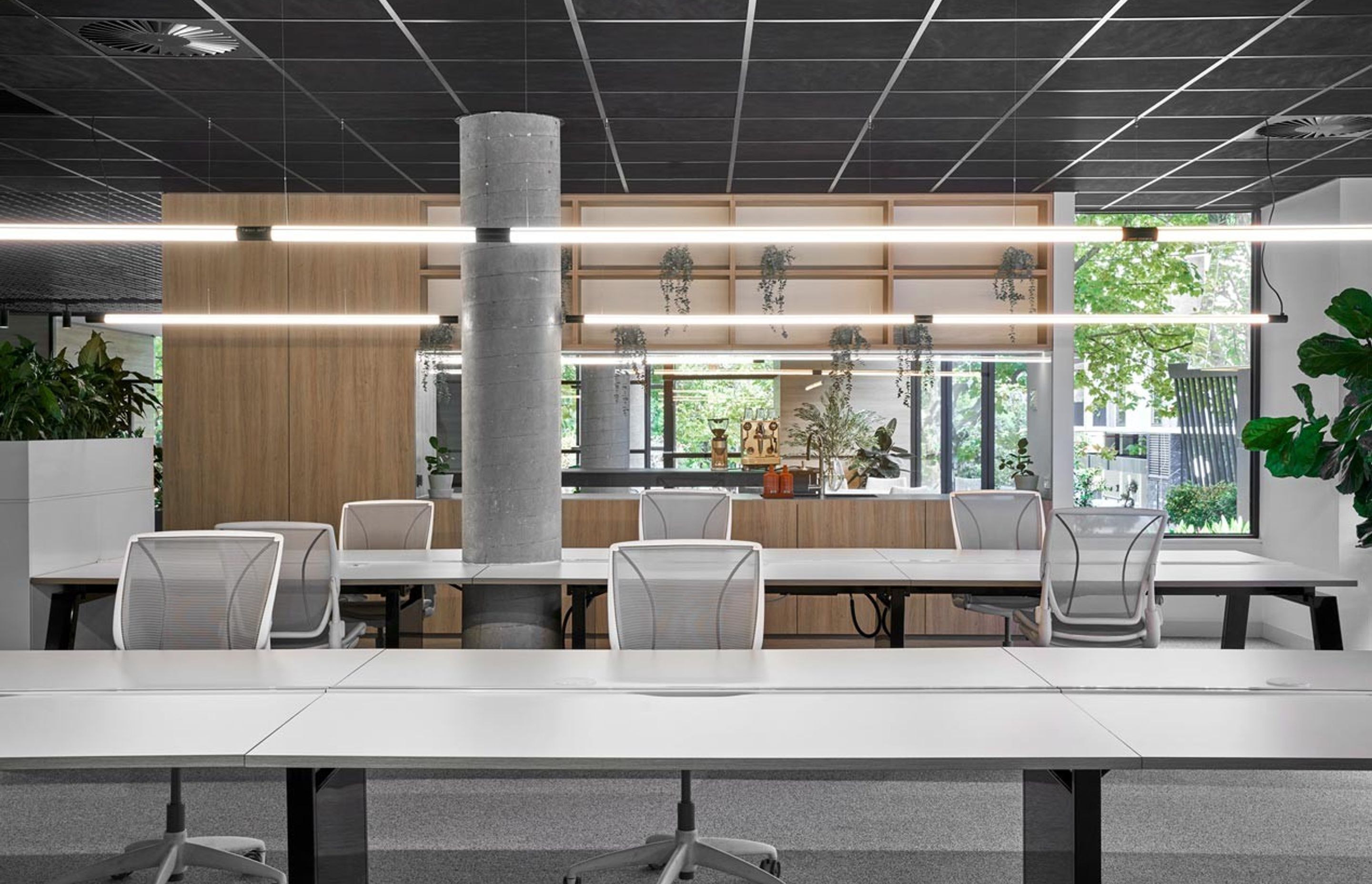 Cotham Road, South Haven Group by Mills Gorman Architects | ArchiPro AU